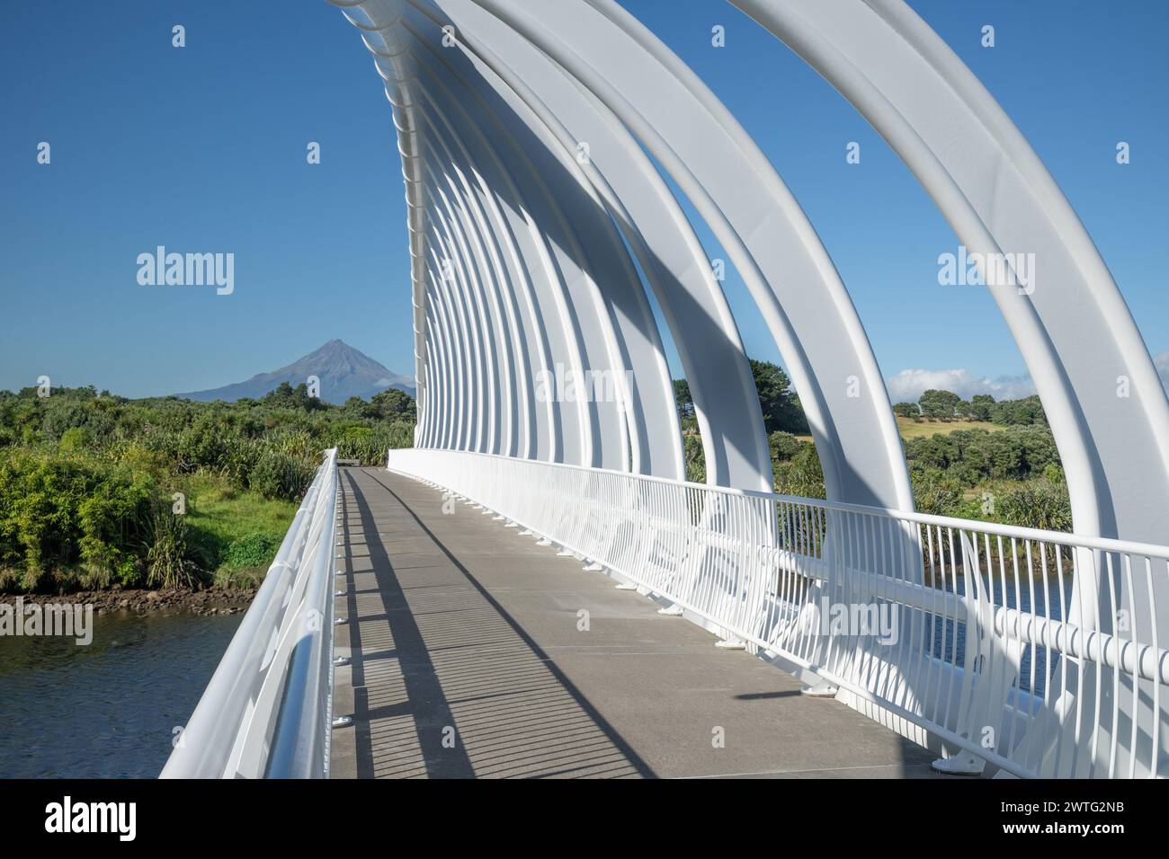 White steel Te Rewa Rewa Bridge landmark on Coastal Walkway in New ...