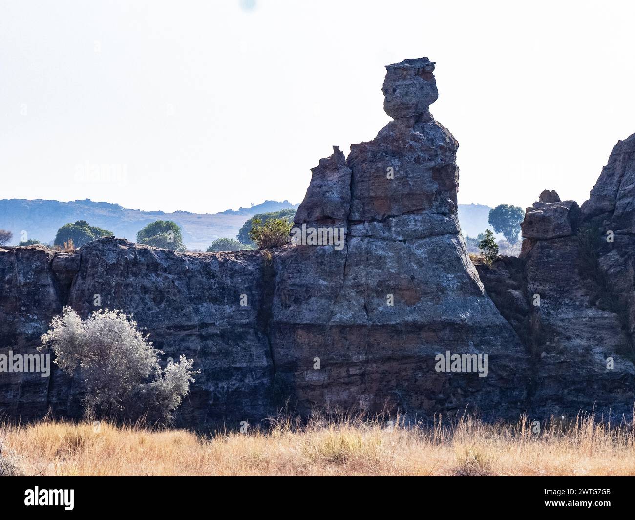 Queen of Isalo, Ranohira, Ihosy, Ihorombe, Madagascar Stock Photo - Alamy