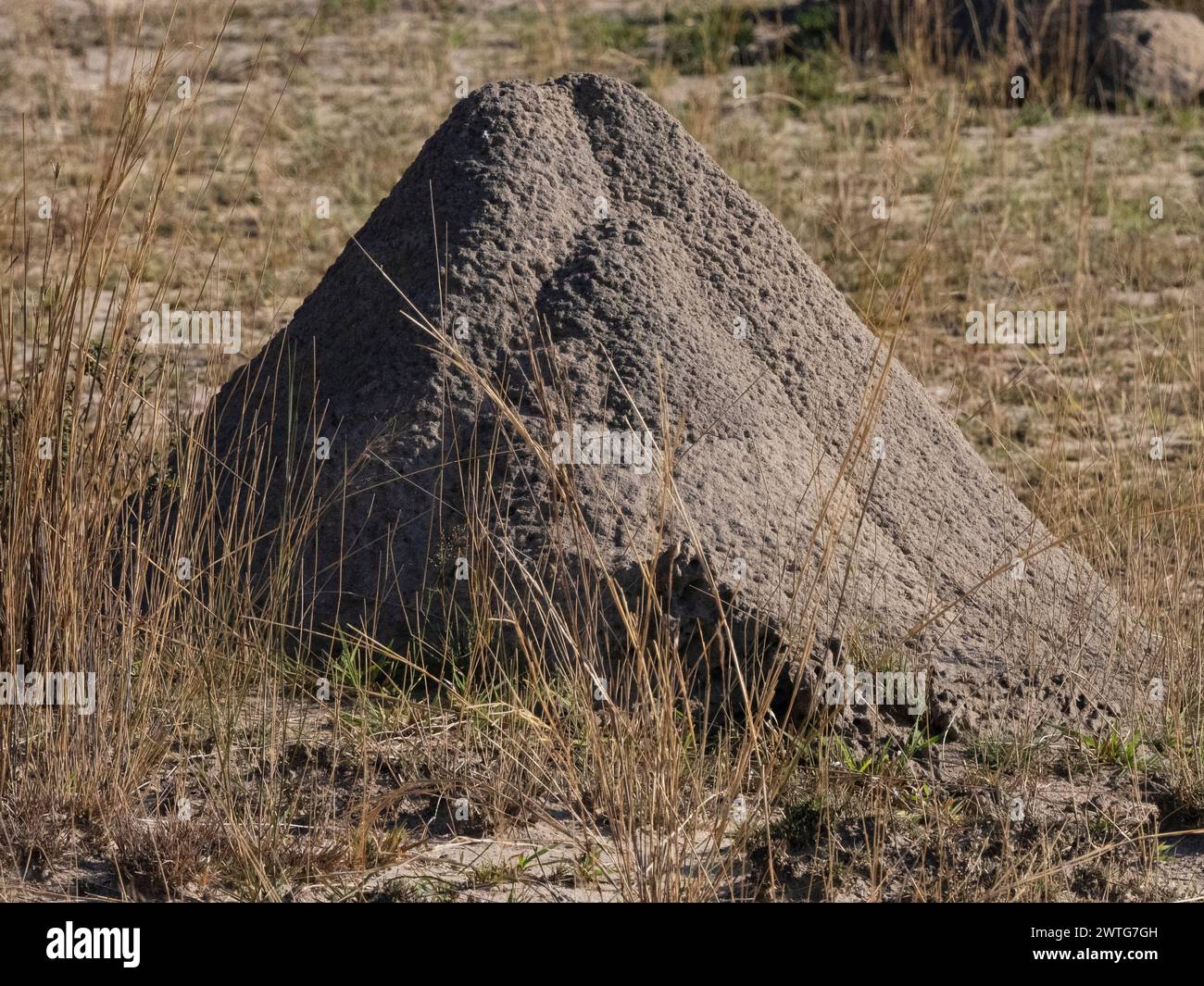 Termite mound, Ranohira, Ihosy, Ihorombe, Madagascar Stock Photo - Alamy