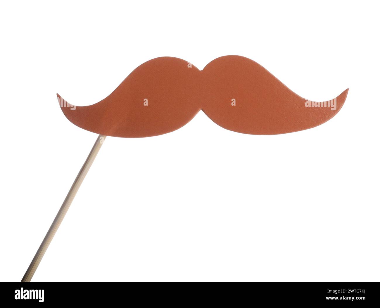 Fake paper mustache on stick against white background Stock Photo - Alamy