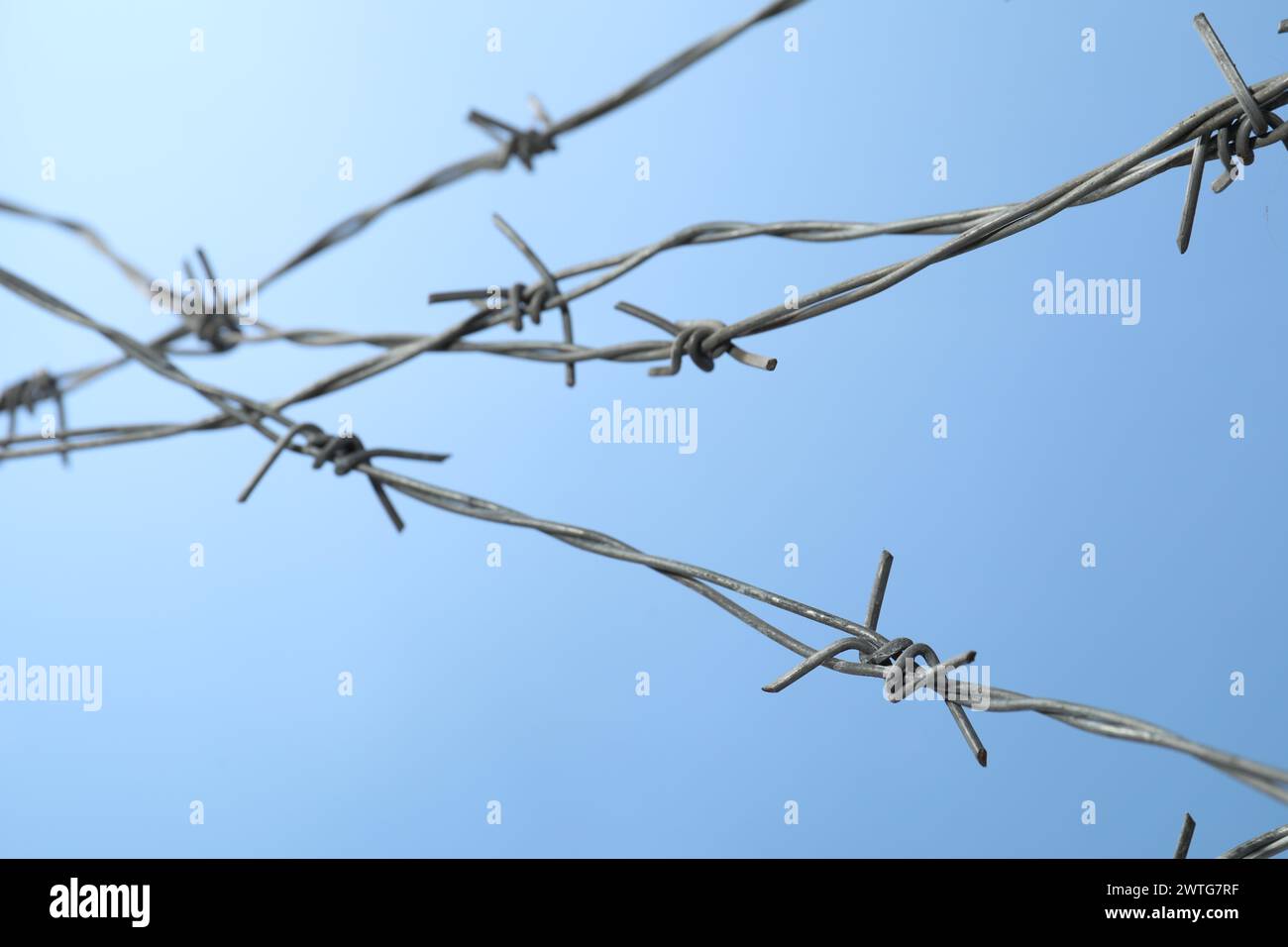 Metal barbed wire on light blue background Stock Photo - Alamy