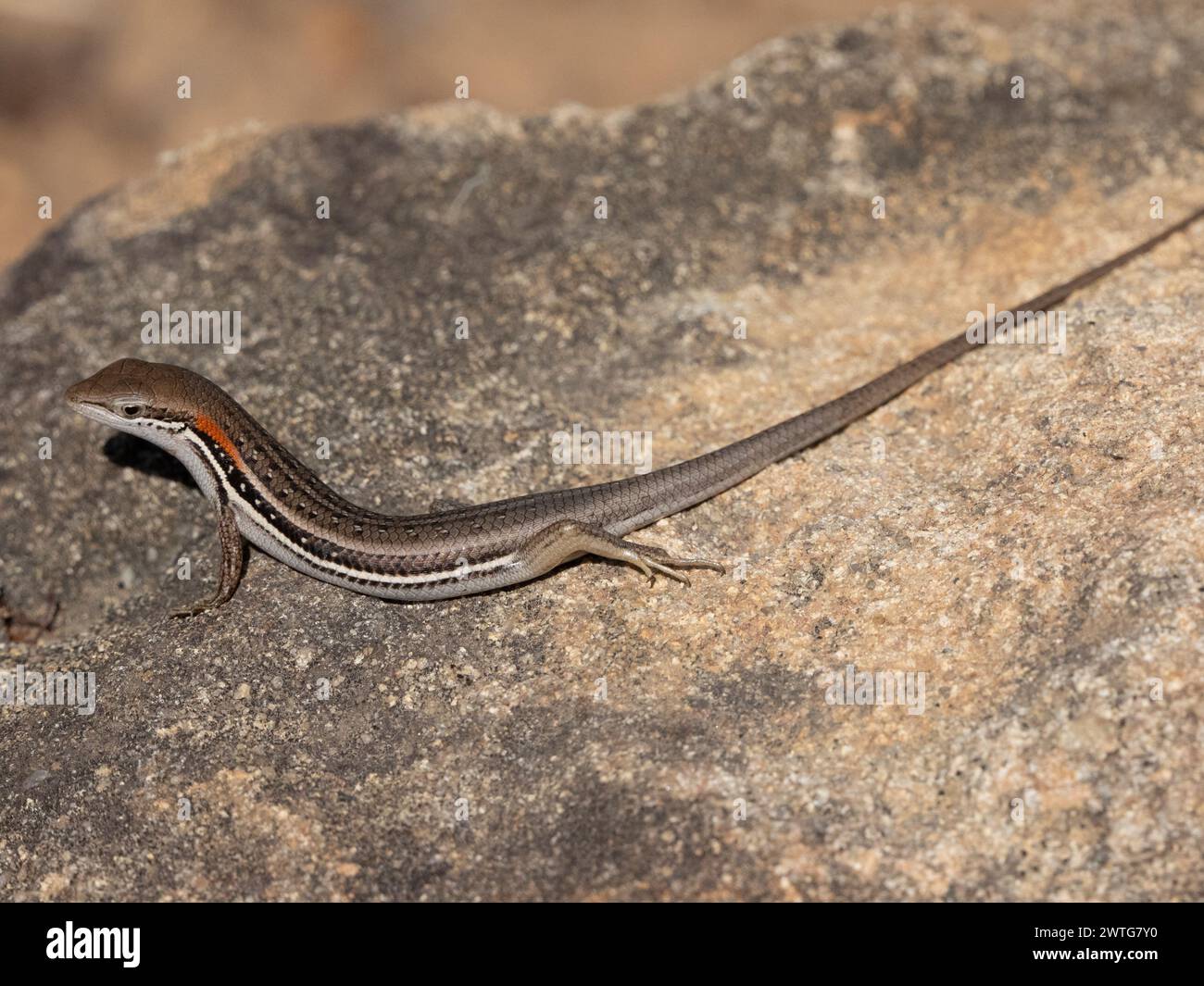 Parque nacional de isalo hi-res stock photography and images - Alamy