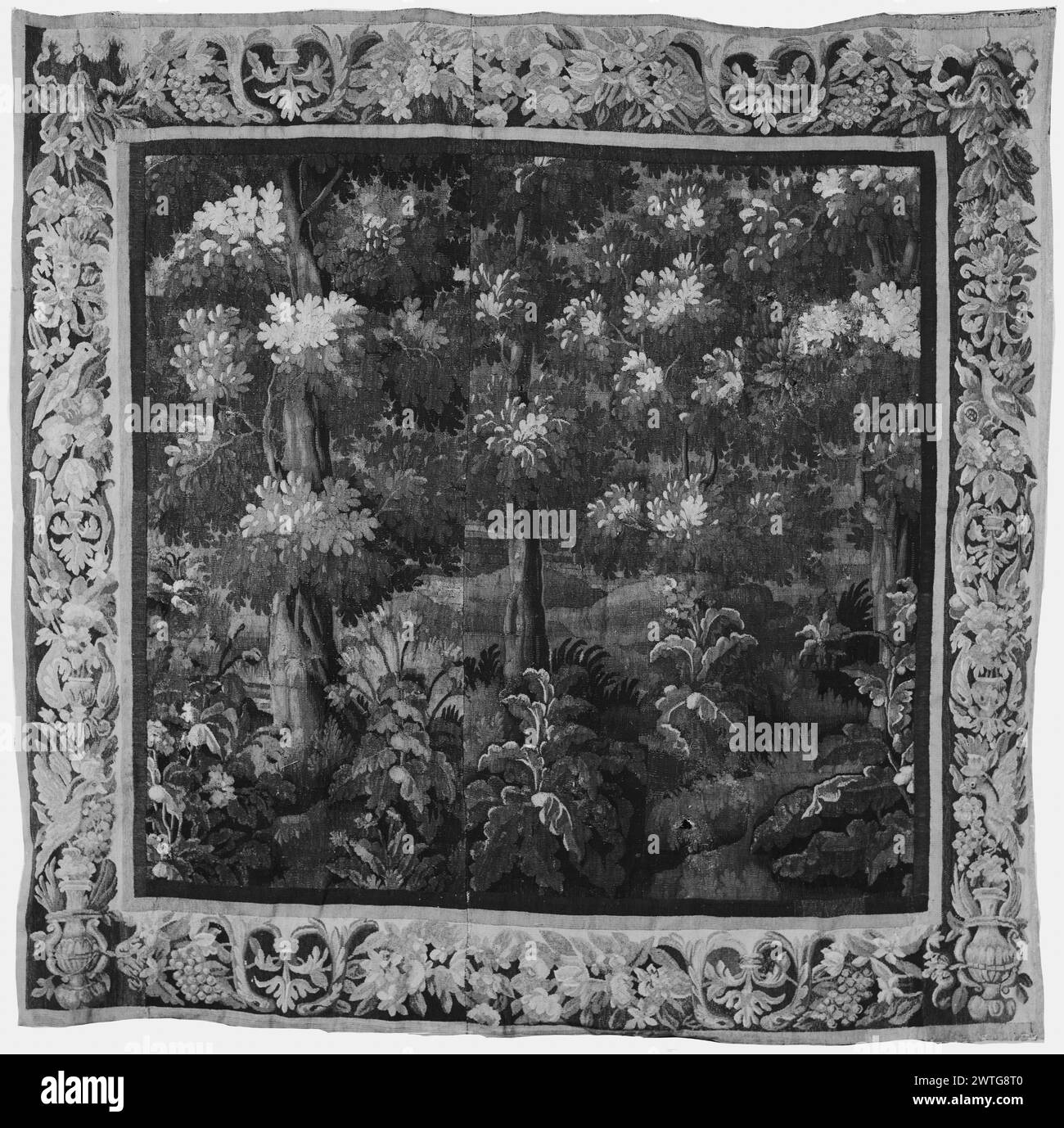 Meadow flowers series Black and White Stock Photos & Images - Alamy