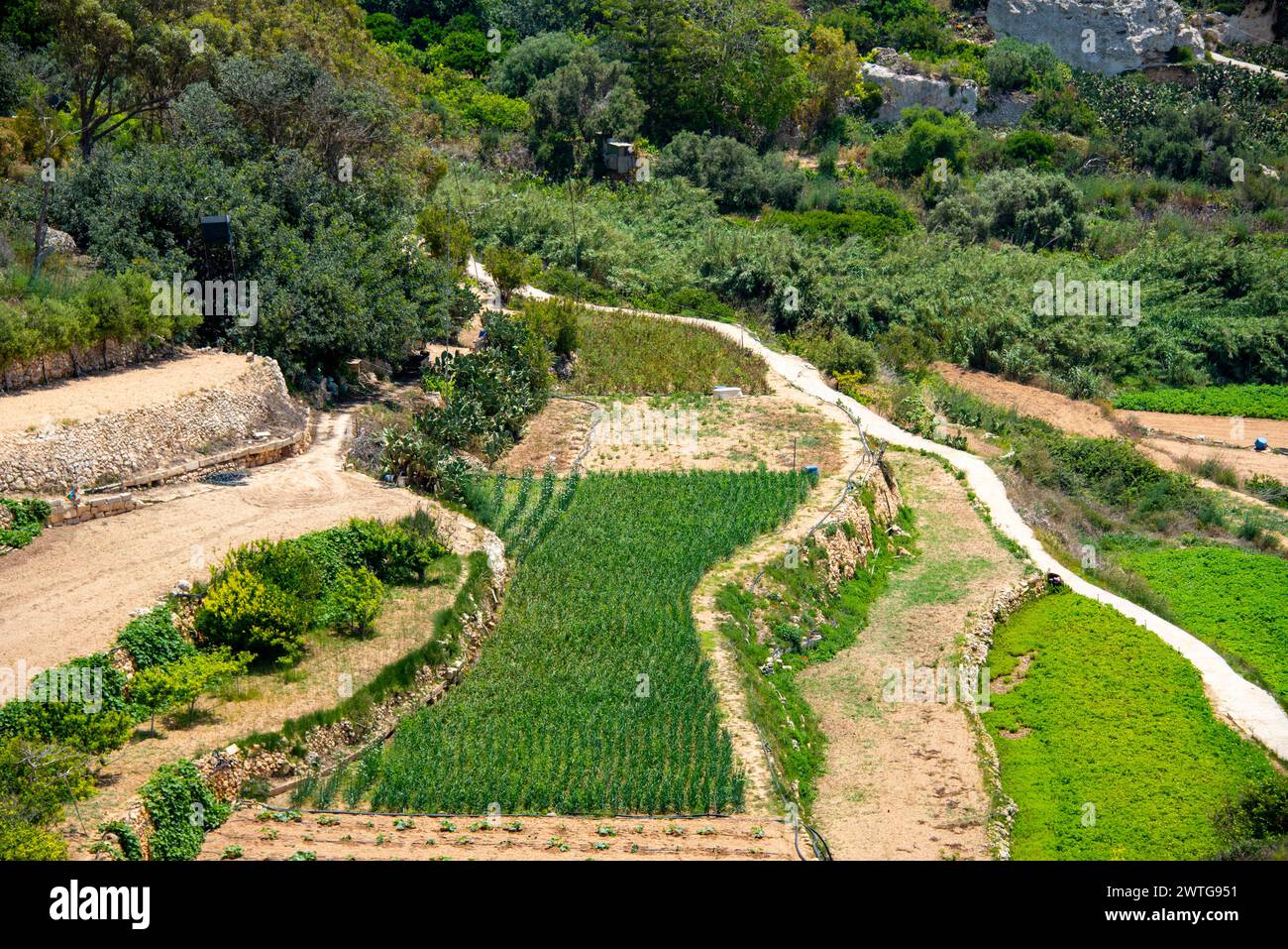 Agricultural Fields in Dingli - Malta Stock Photo - Alamy