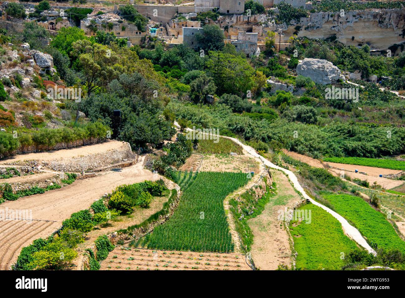 Agricultural Fields in Dingli - Malta Stock Photo - Alamy
