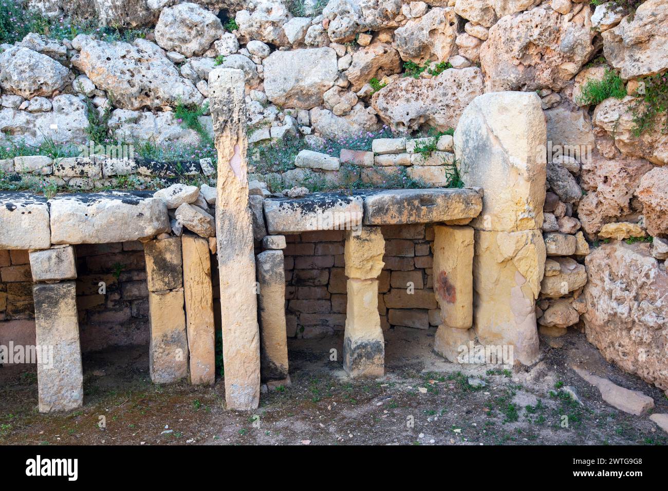 Ggantija Temples - Gozo - Malta Stock Photo - Alamy