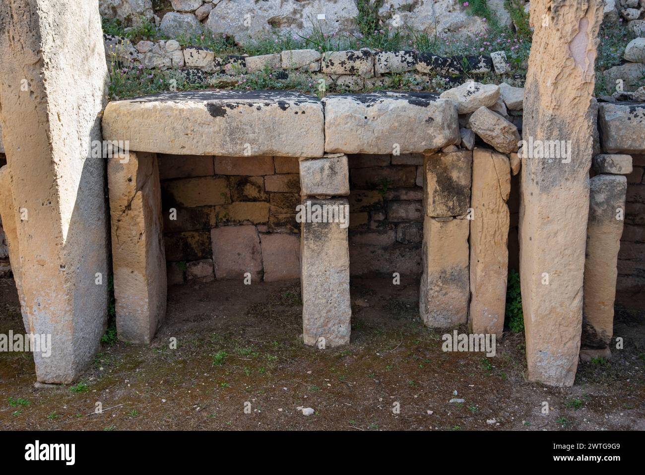 Ggantija Temples - Gozo - Malta Stock Photo - Alamy