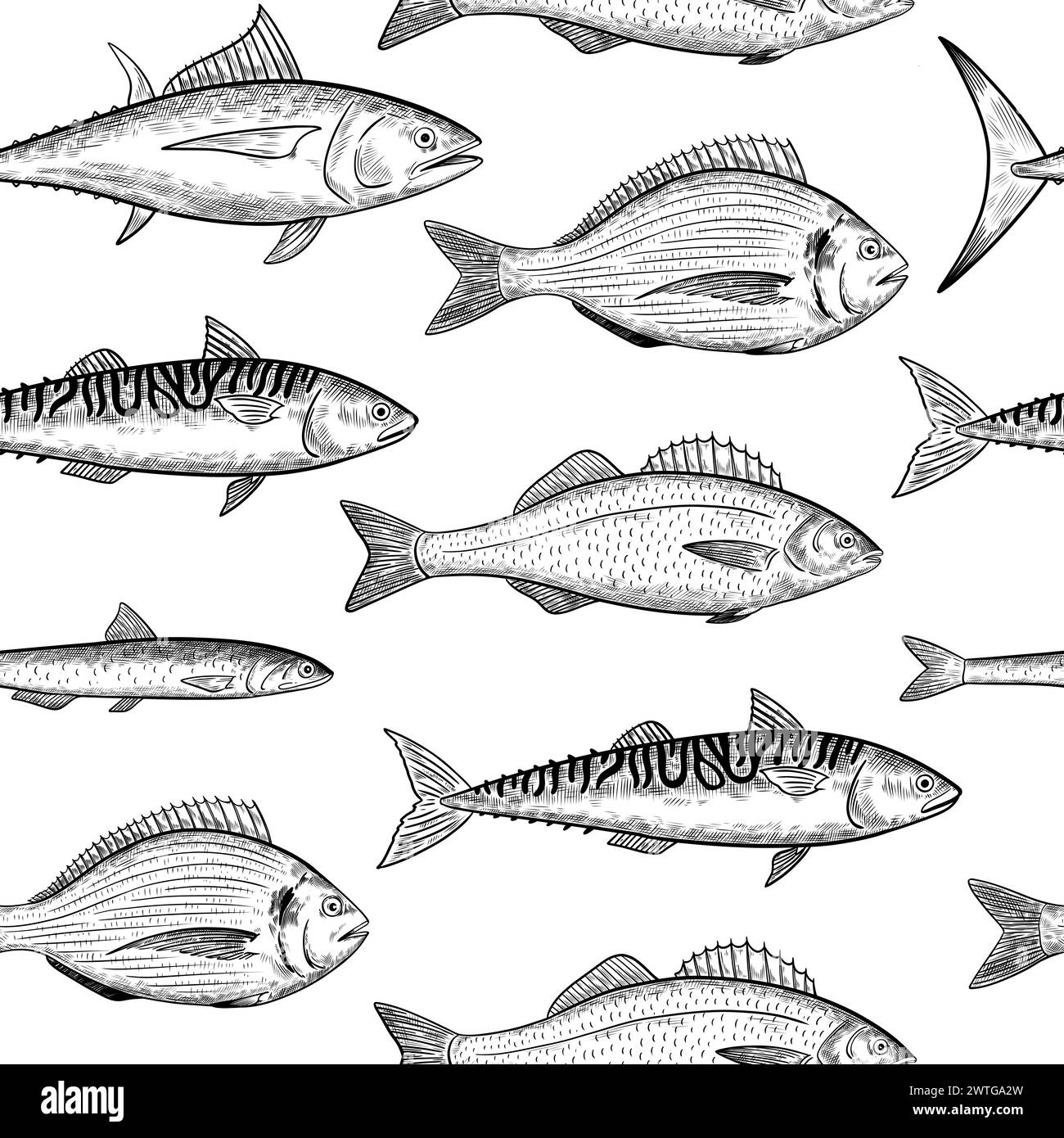 Seamless pattern with sea fishes species. Seafood fish. Vector ...