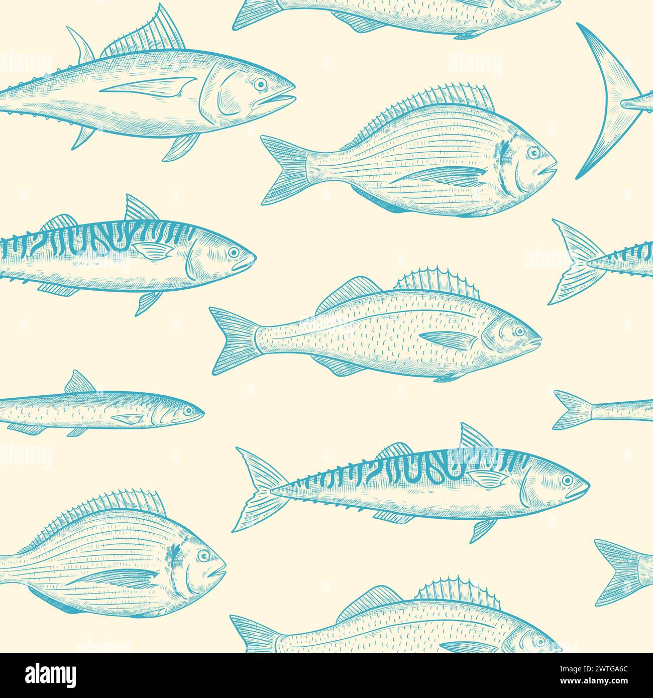 Seamless pattern with sea fishes species. Seafood fish. Vector ...