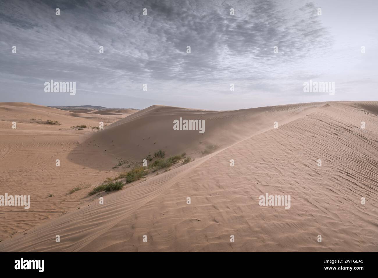 Tengger desert scenery, Inner Mongolia, China. The windy weather with ...