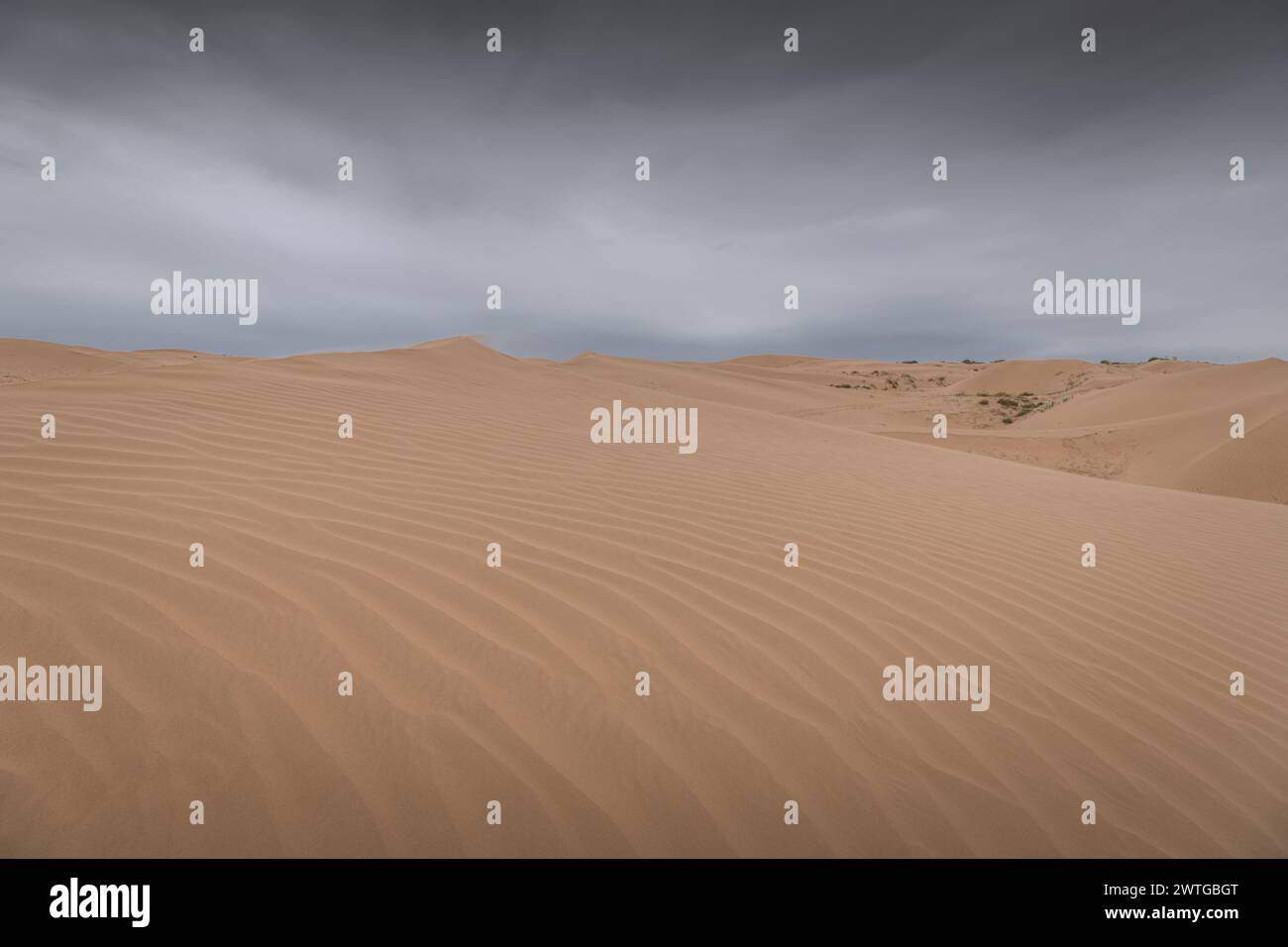 Sunset view of Sand dunes in XiangshaWan, or Singing sand Bay, in hobq ...