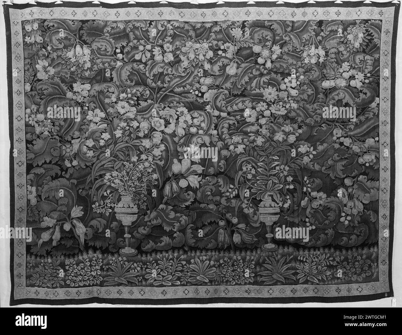 Ornamental flowers and ornamental plants Black and White Stock Photos ...