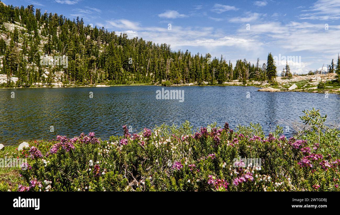 Rural desolation hi-res stock photography and images - Alamy