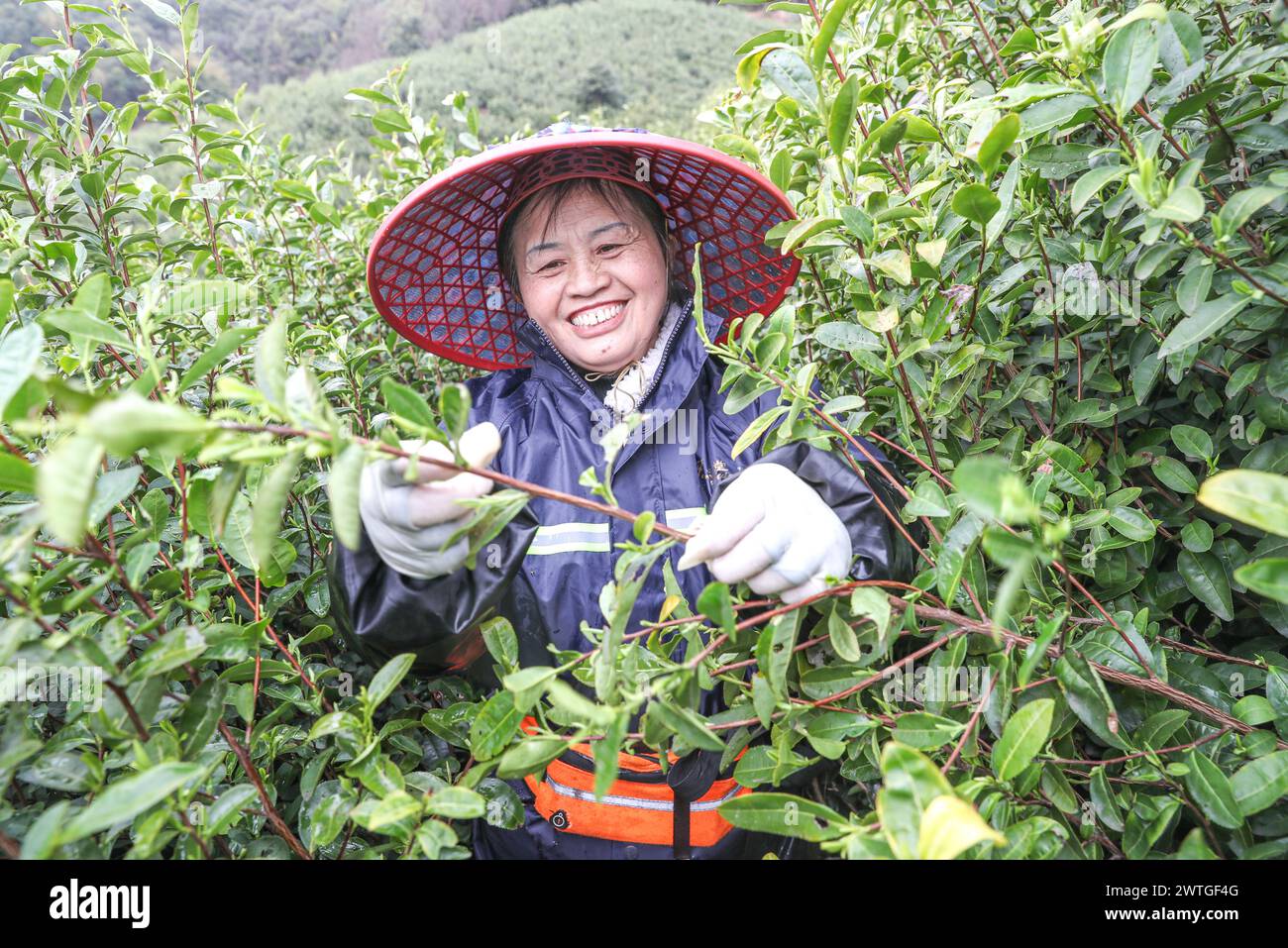 Huzhou, China. 18th Mar, 2024. HUZHOU, CHINA - MARCH 18, 2024 - A ...
