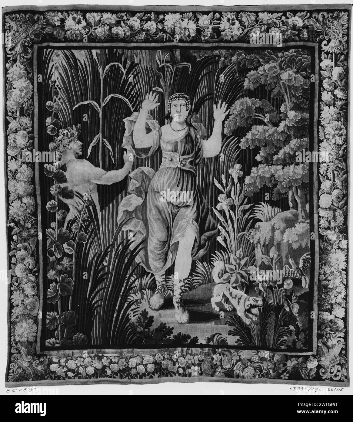 Clump of reeds hi-res stock photography and images - Alamy