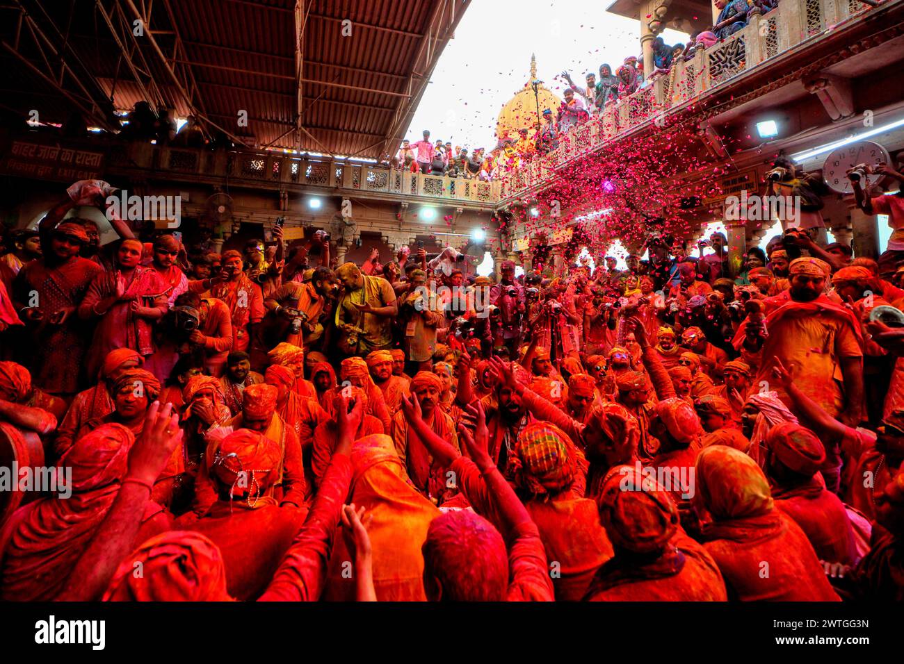 Hindu devotees seen playing with colorful powders and flower petals ...