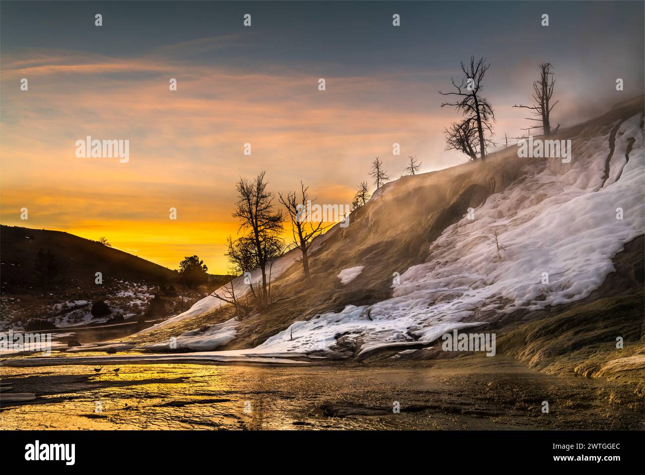 SUNRISE PALETTE SPRING MAMMOTH HOT SPRINGS YELLOWSTONE NATIONAL PARK ...