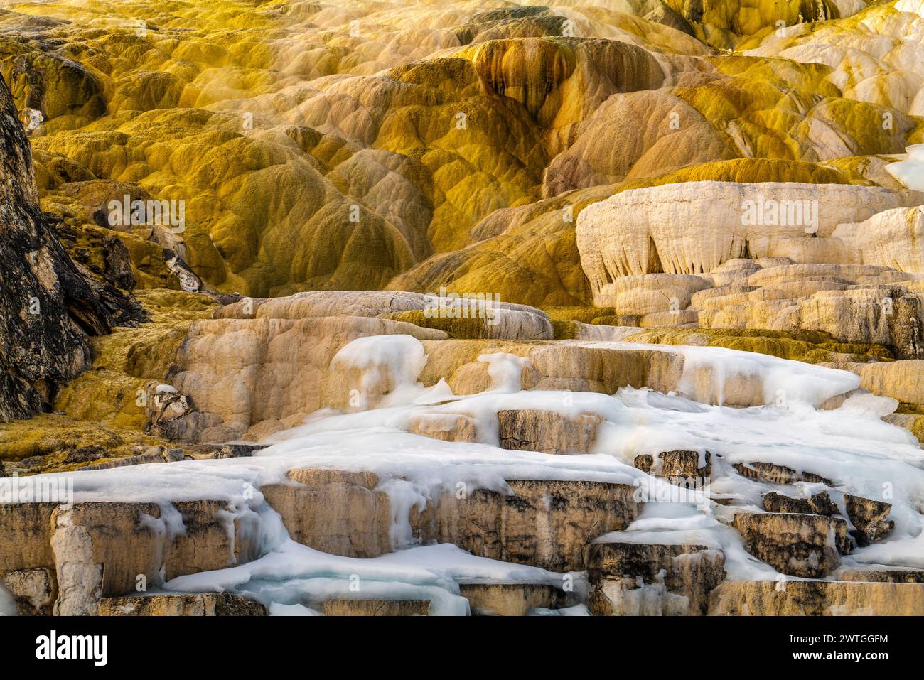 PALETTE SPRING MAMMOTH HOT SPRINGS YELLOWSTONE NATIONAL PARK WYOMING ...