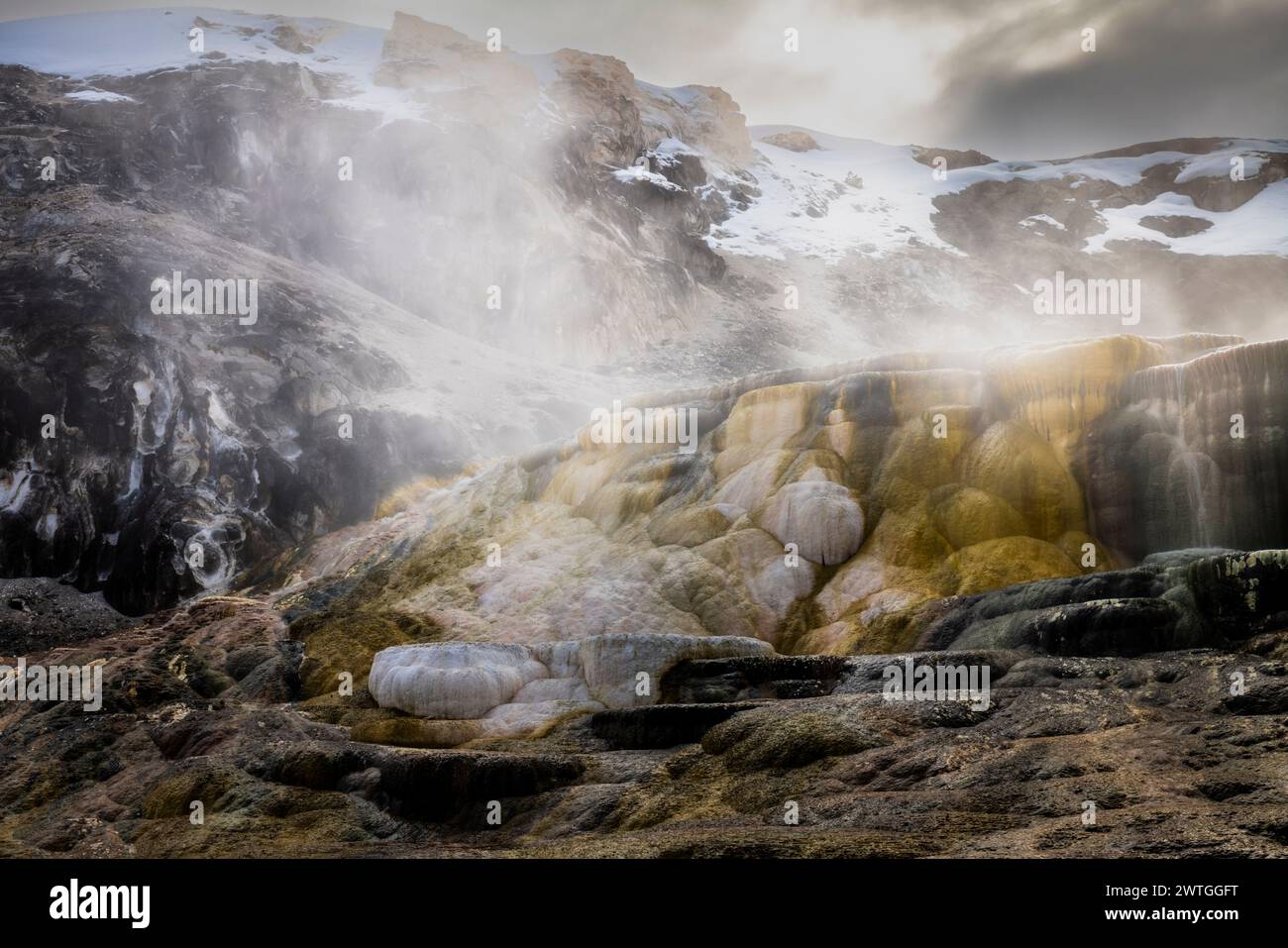 TRAVERTINE TERRACES MOUND SPRING MAMMOTH HOT SPRINGS YELLOWSTONE ...