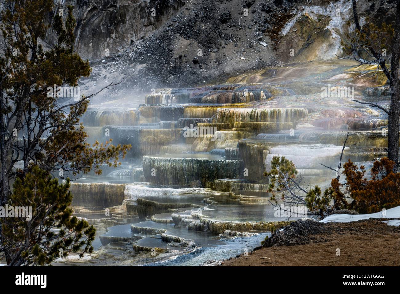 TRAVERTINE TERRACES MOUND SPRING MAMMOTH HOT SPRINGS YELLOWSTONE ...