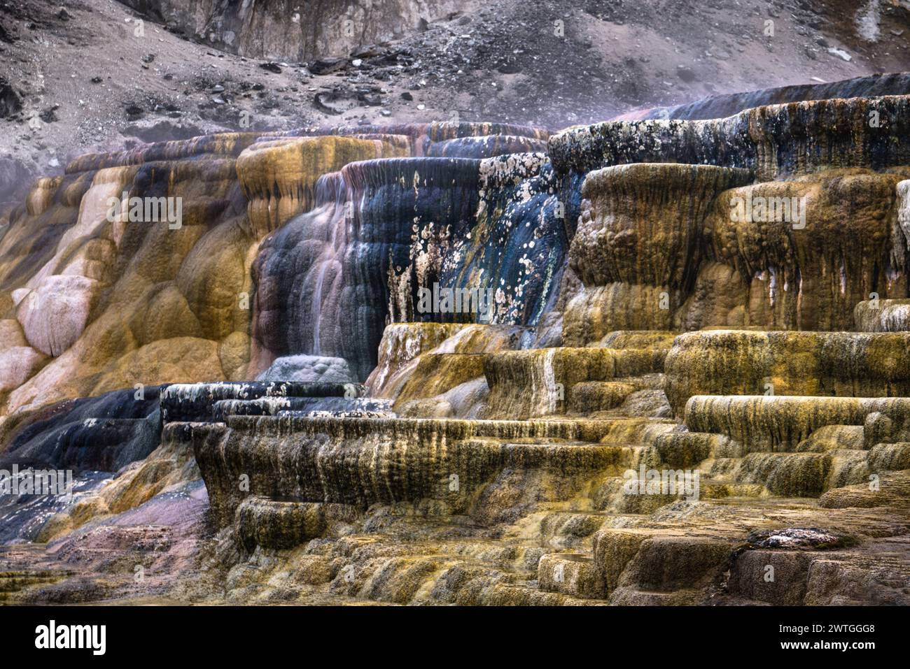 TRAVERTINE TERRACES MOUND SPRING MAMMOTH HOT SPRINGS YELLOWSTONE ...