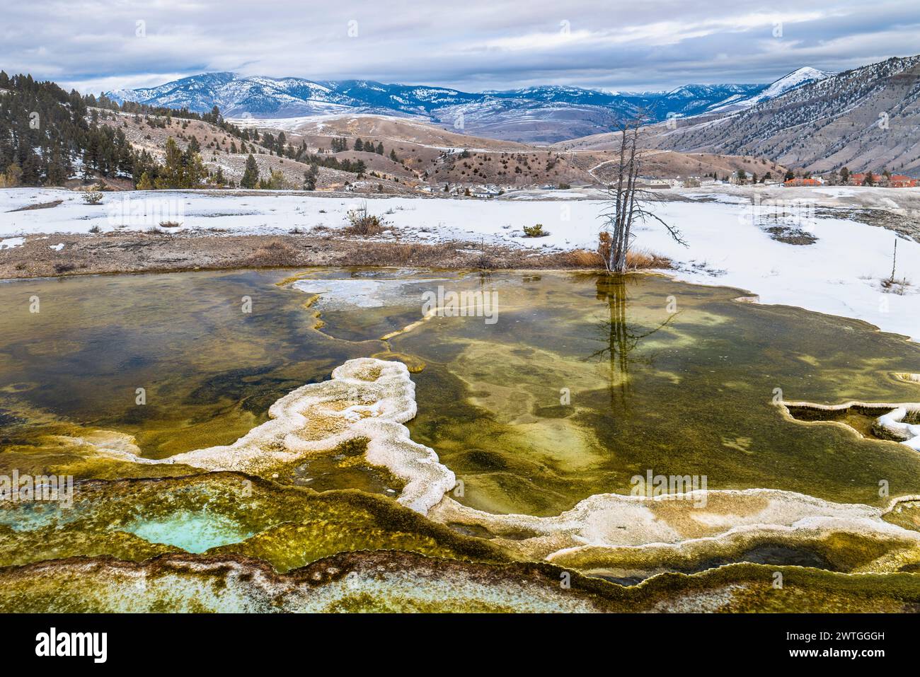 MOUND SPRING MAMMOTH HOT SPRINGS YELLOWSTONE NATIONAL PARK WYOMING USA ...