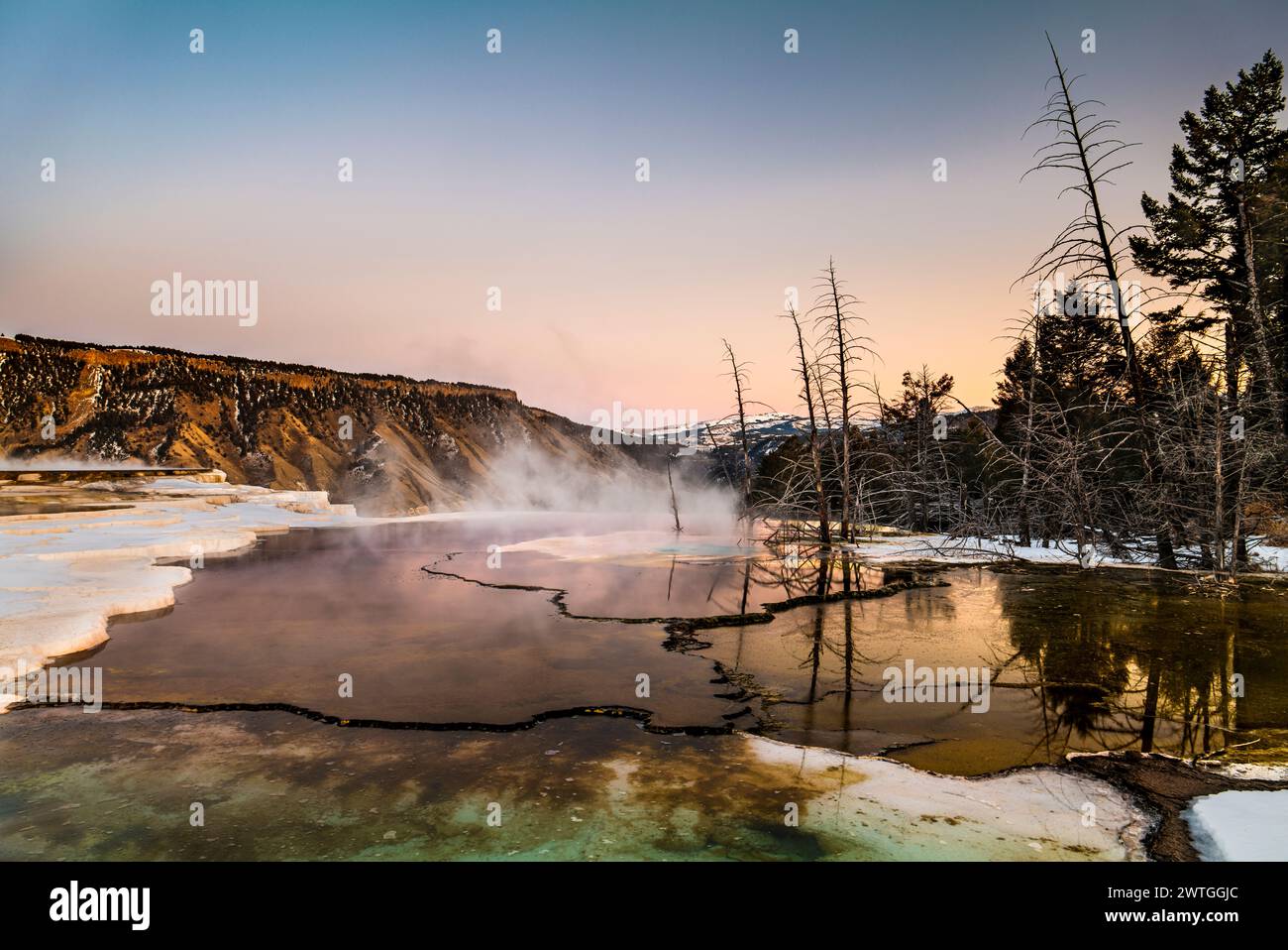 SUNSET DRYAD SPRING MAMMOTH HOT SPRINGS YELLOWSTONE NATIONAL PARK ...