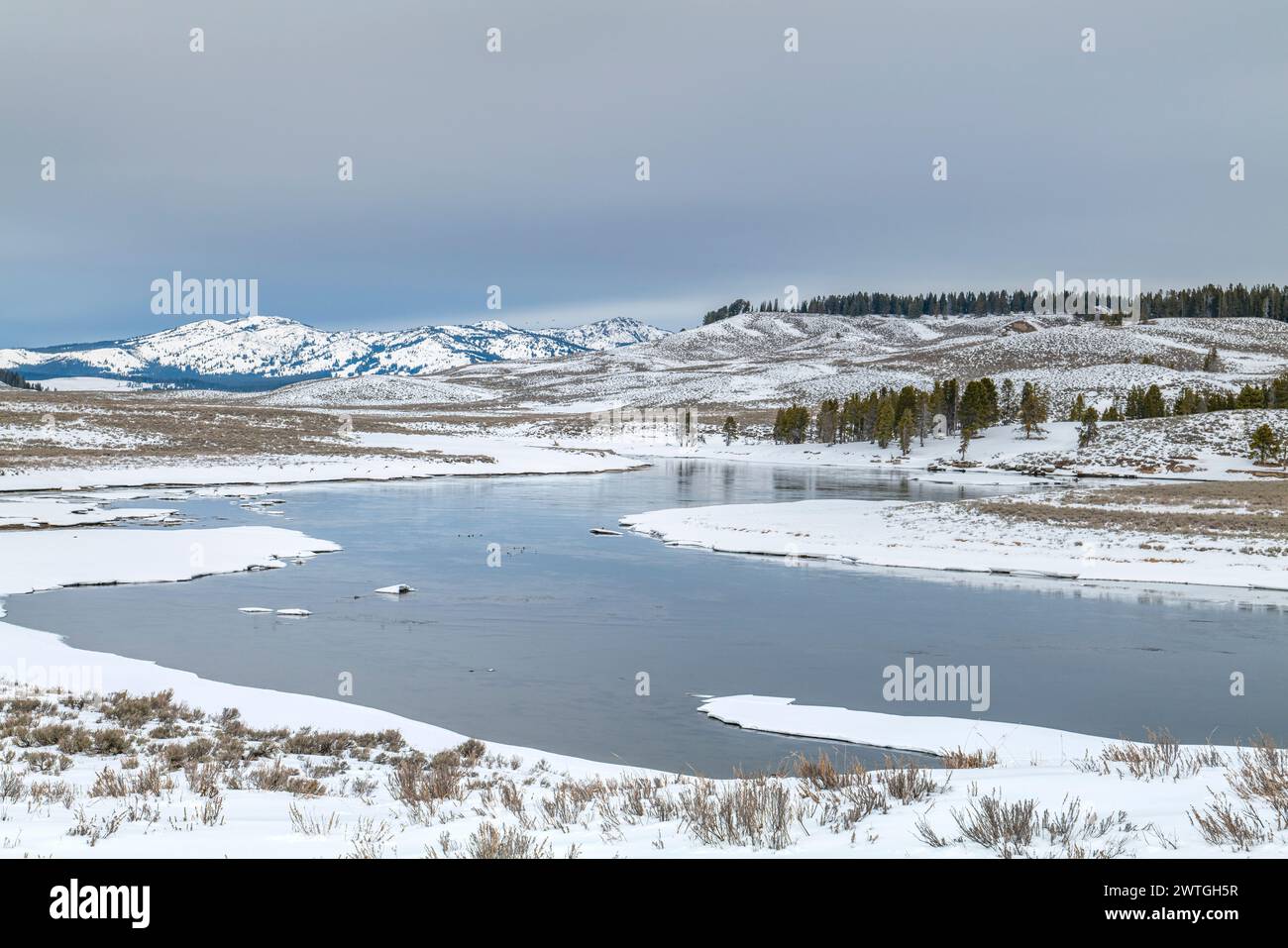 YELLOWSTONE RIVER & ABSAROKA MOUNTAIN RANGE HAYDEN VALLEY YELLOWSTONE ...