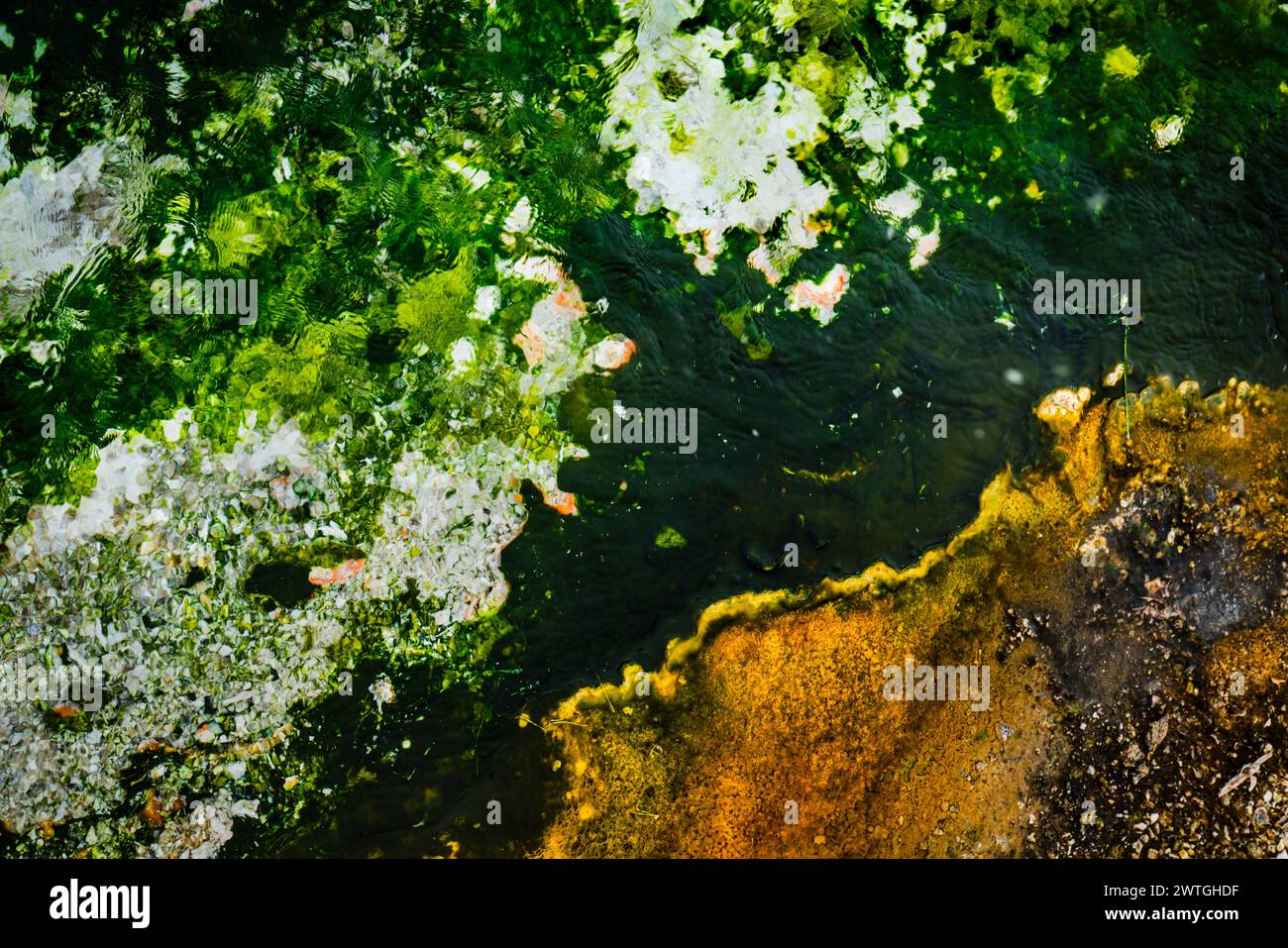 BISCUIT GEYSER BASIN UPPER GEYSER BASIN YELLOWSTONE NATIONAL PARK ...