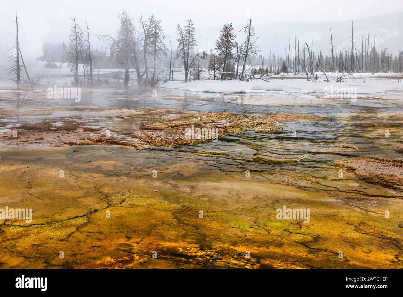 BISCUIT GEYSER BASIN UPPER GEYSER BASIN YELLOWSTONE NATIONAL PARK ...