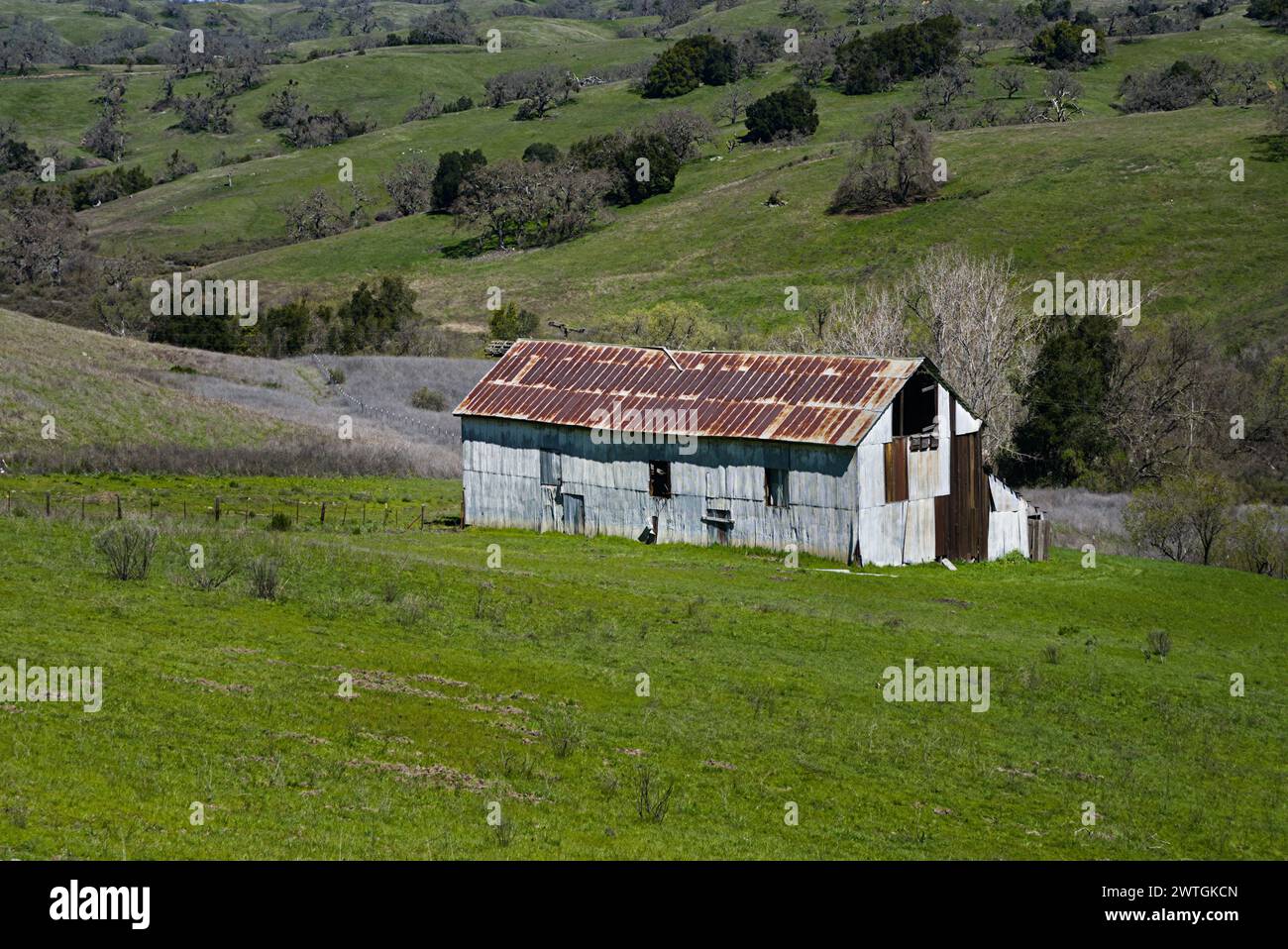 A white barn in the green grass field with rolling hills behind Stock ...