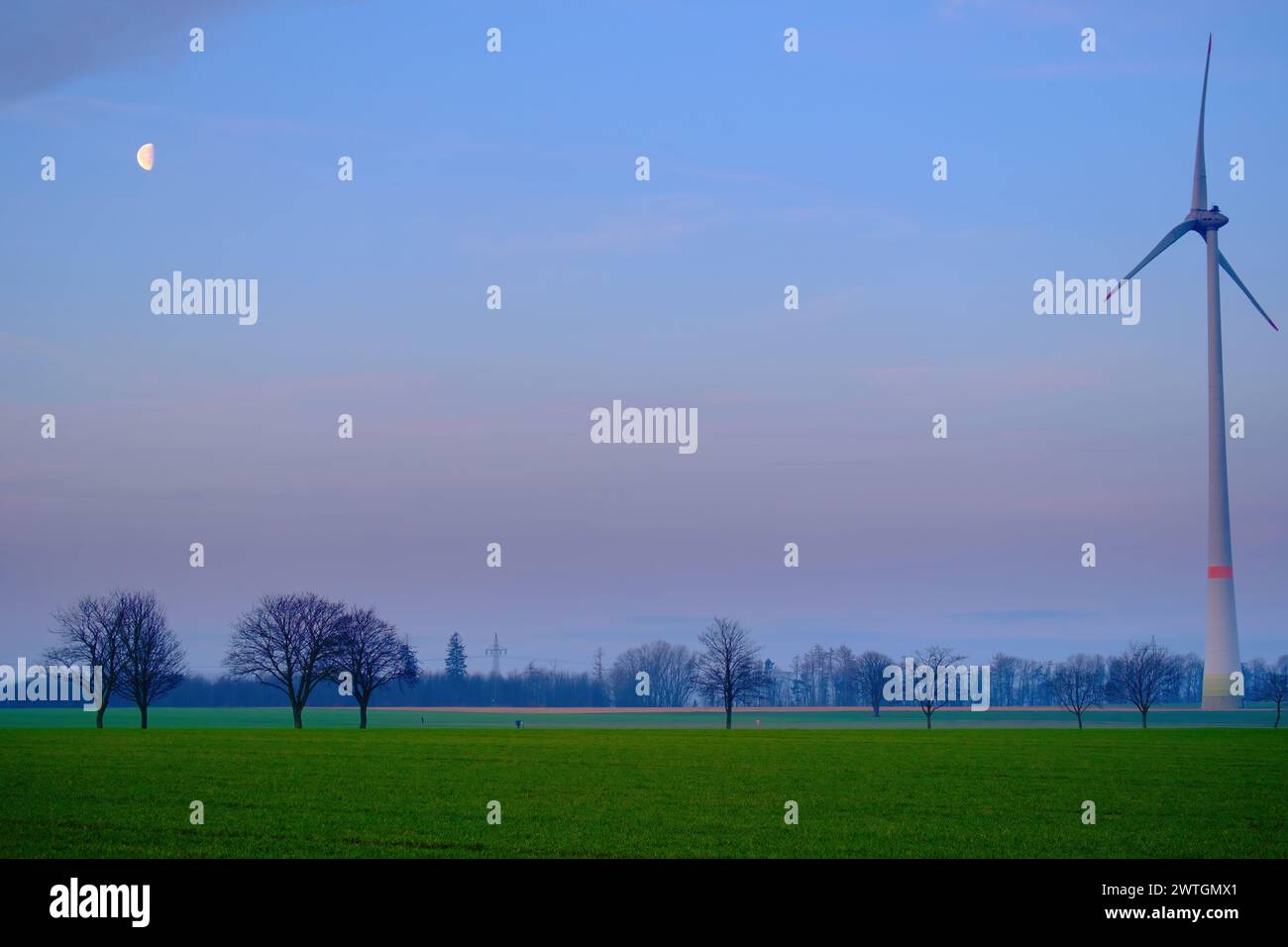 Landscape- trees in green field with Moon Stock Photo - Alamy