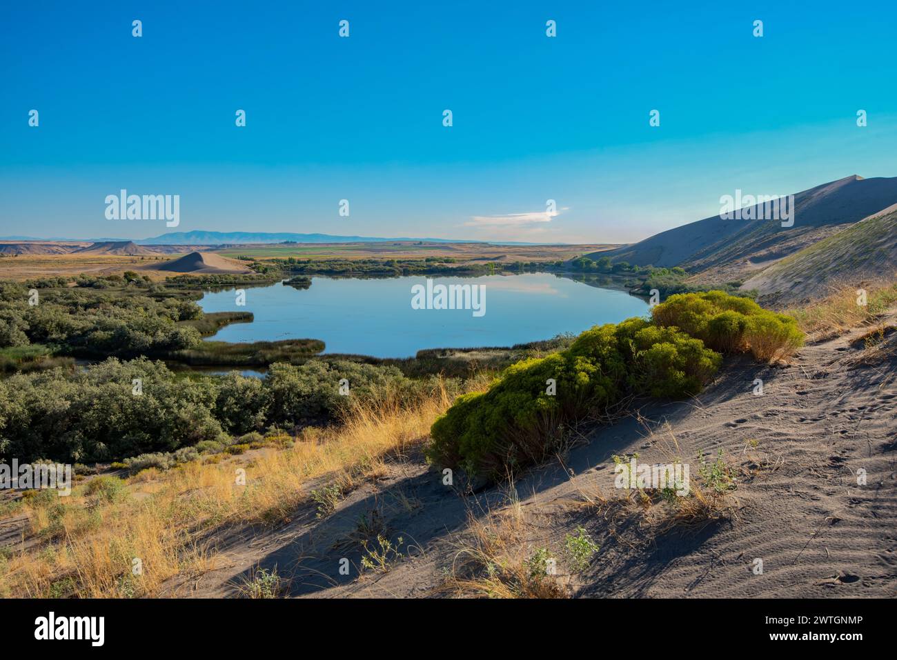 Evidenced based art hi-res stock photography and images - Alamy