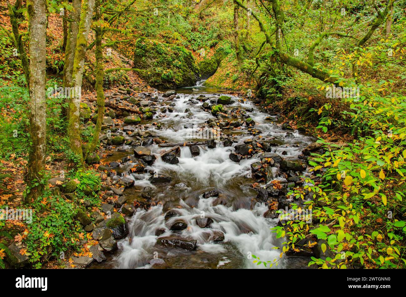 Cascade mountains in oregon hi-res stock photography and images - Alamy