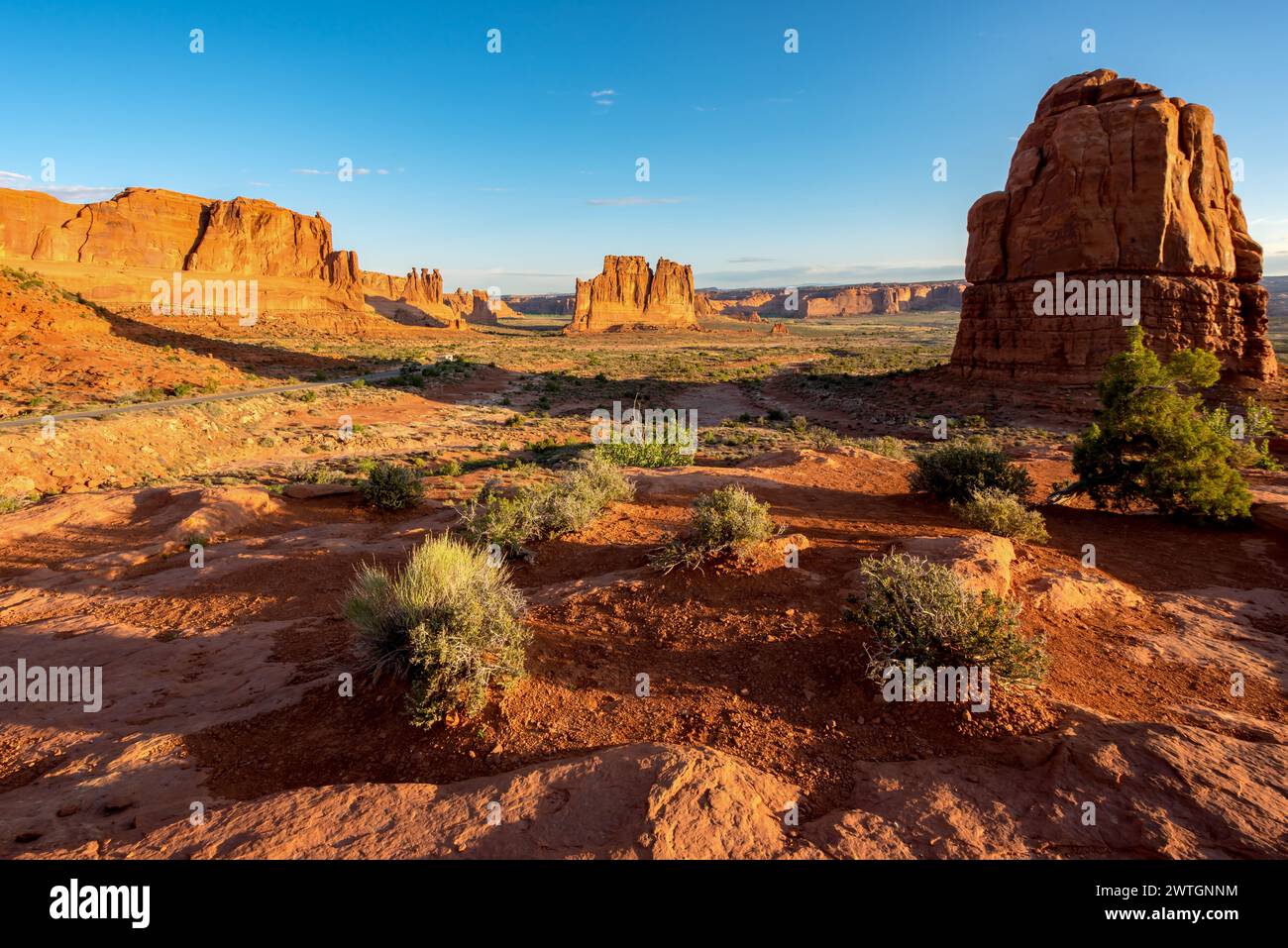 Evidenced based art hi-res stock photography and images - Alamy