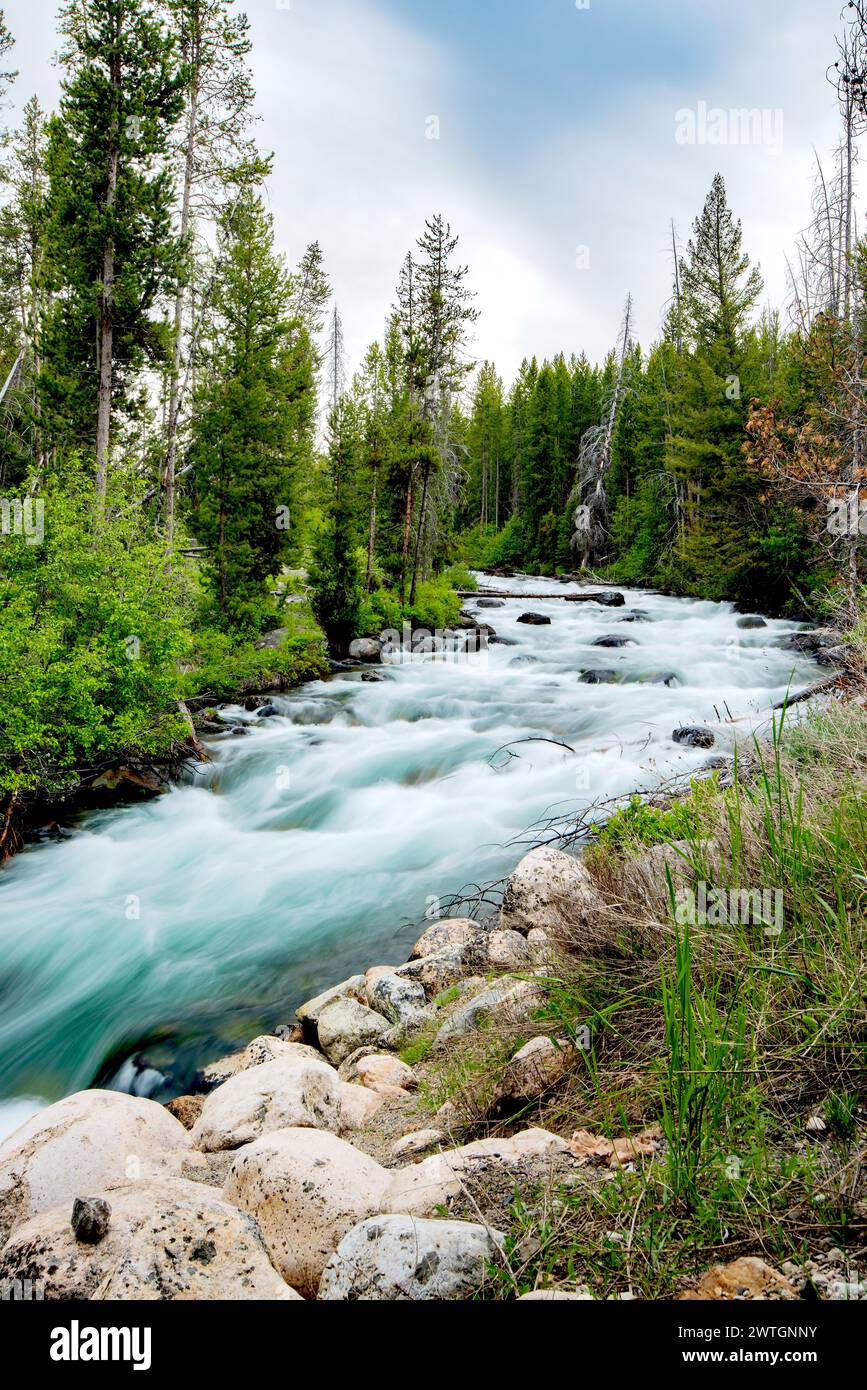 Evidenced based art hi-res stock photography and images - Alamy