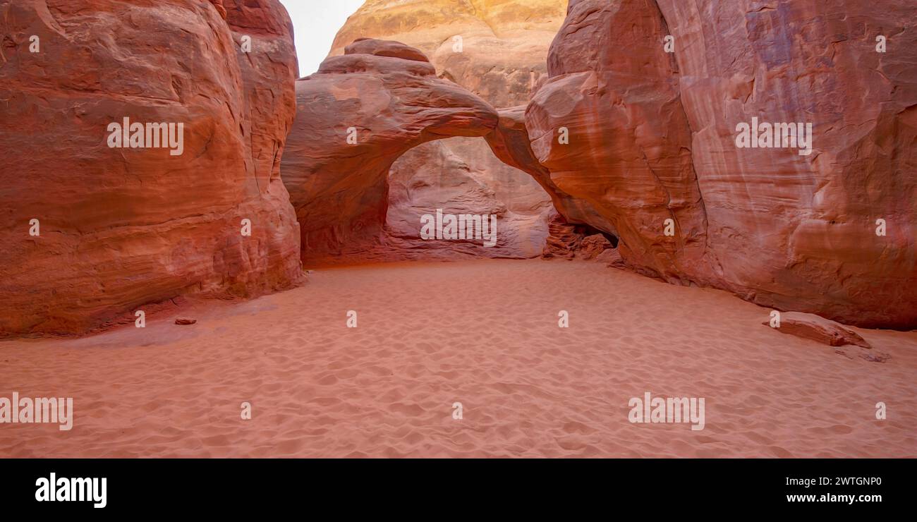 Evidenced based art hi-res stock photography and images - Alamy