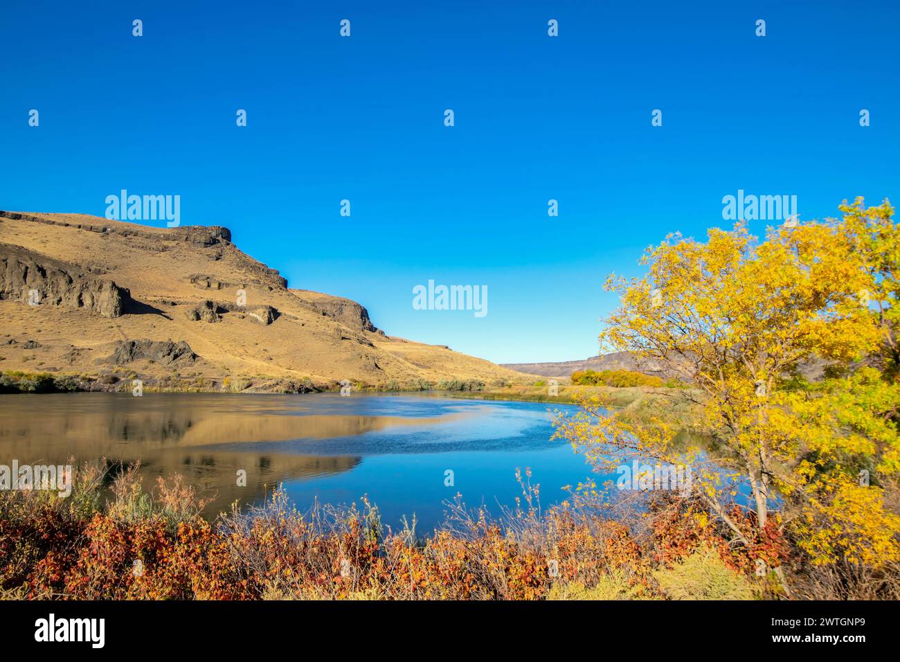 Snake River Canyon fall view Idaho Stock Photo - Alamy