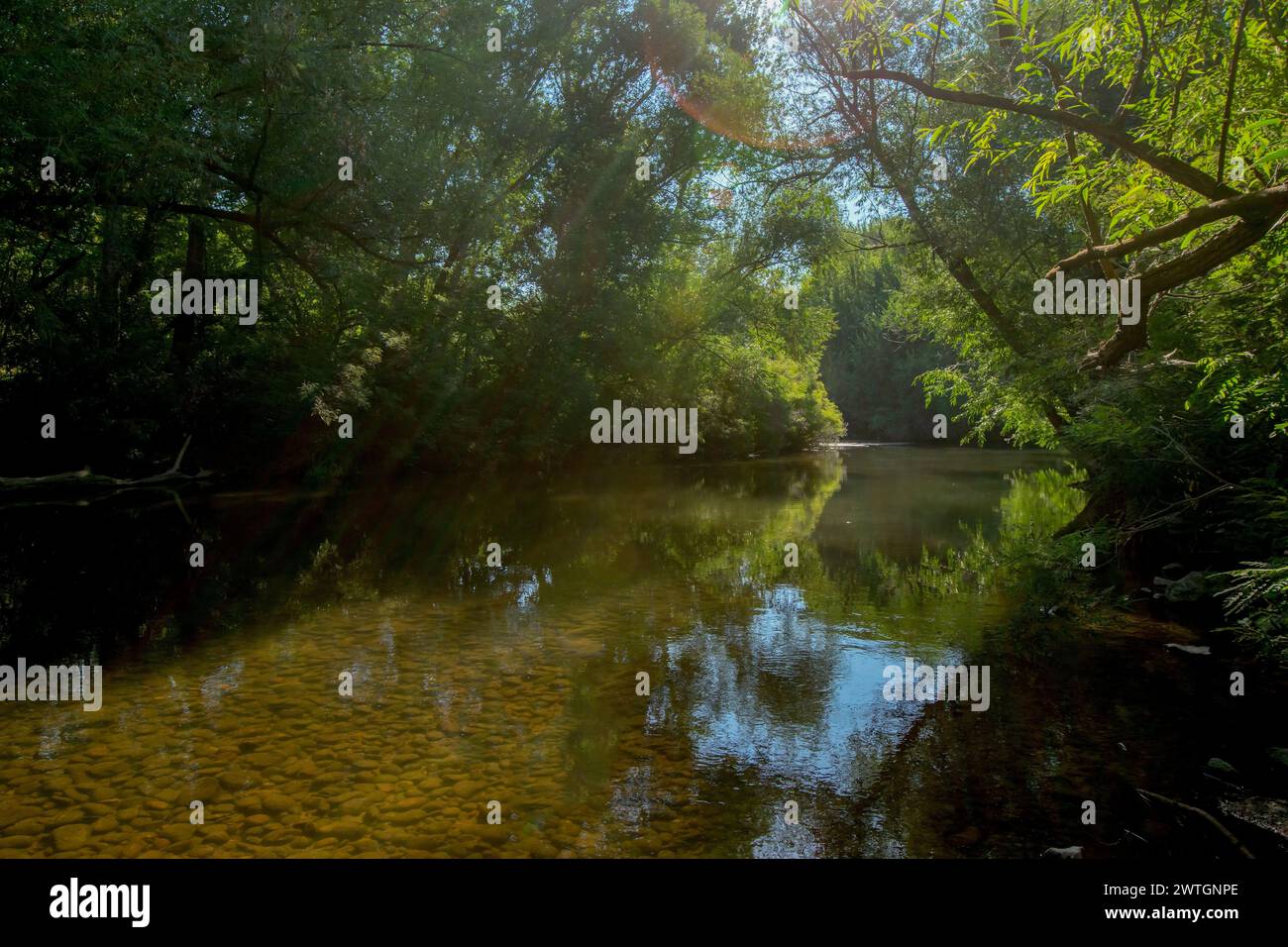 Evidenced based art hi-res stock photography and images - Alamy