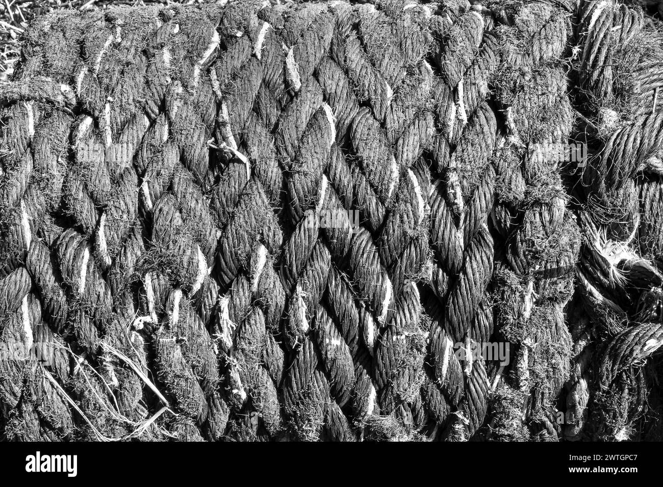 coil of old shipping rope Stock Photo - Alamy