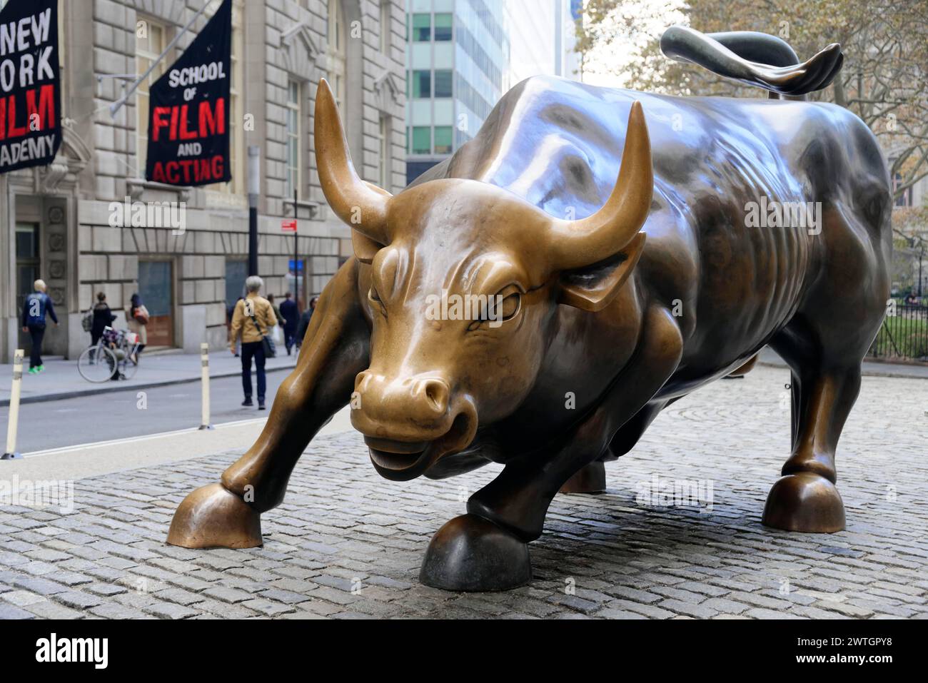 Bronze sculpture of the Charging Bull in New York, Manhattan, New York City, New York, USA ...