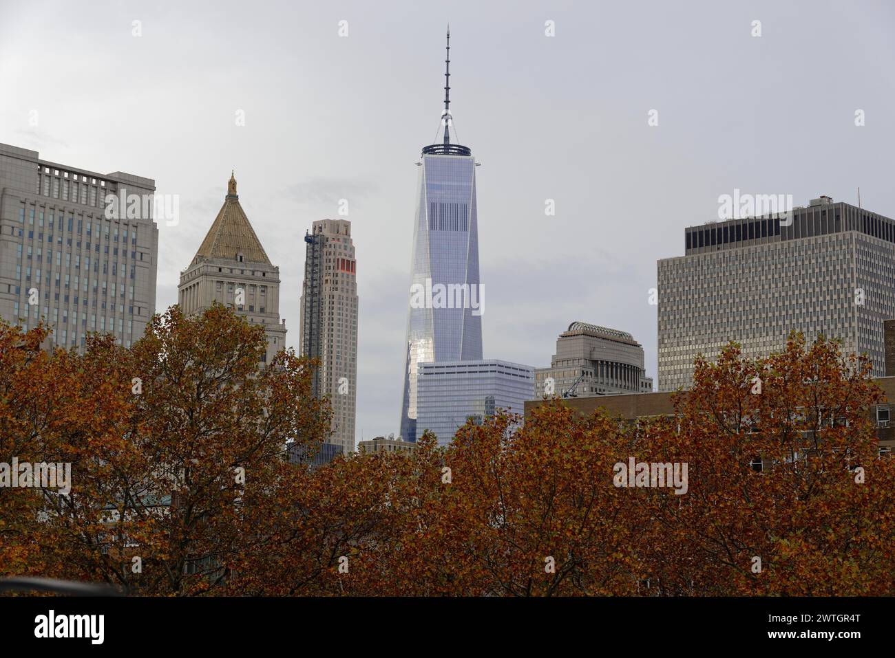 View of the skyline with One World Trade Center behind autumn trees ...