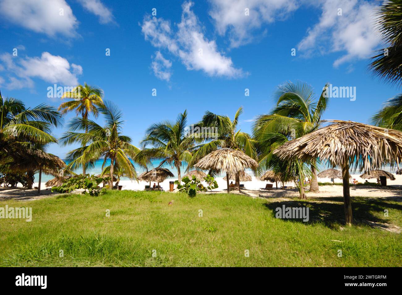 Empty seashore parasols on hi-res stock photography and images - Alamy