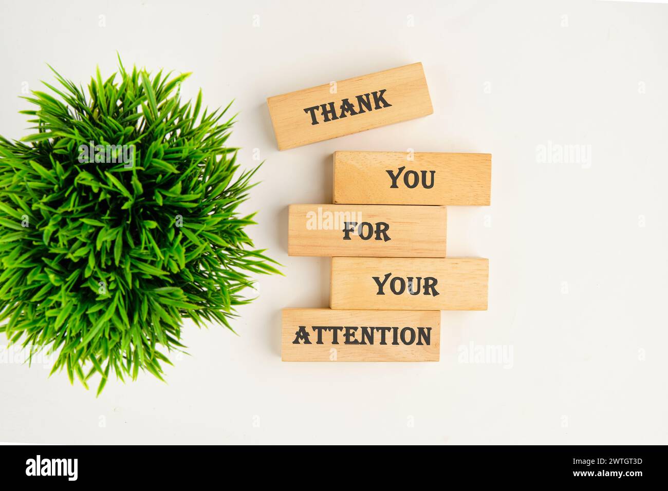 Thank you for your attention concept. Text written on wooden blocks on ...