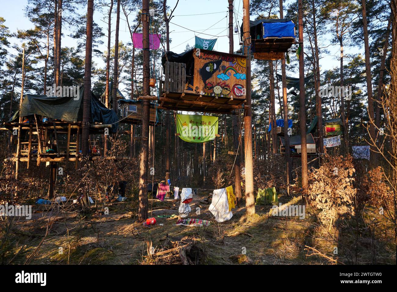 18 March 2024, Brandenburg, Grünheide: Tree houses hang in a camp of ...