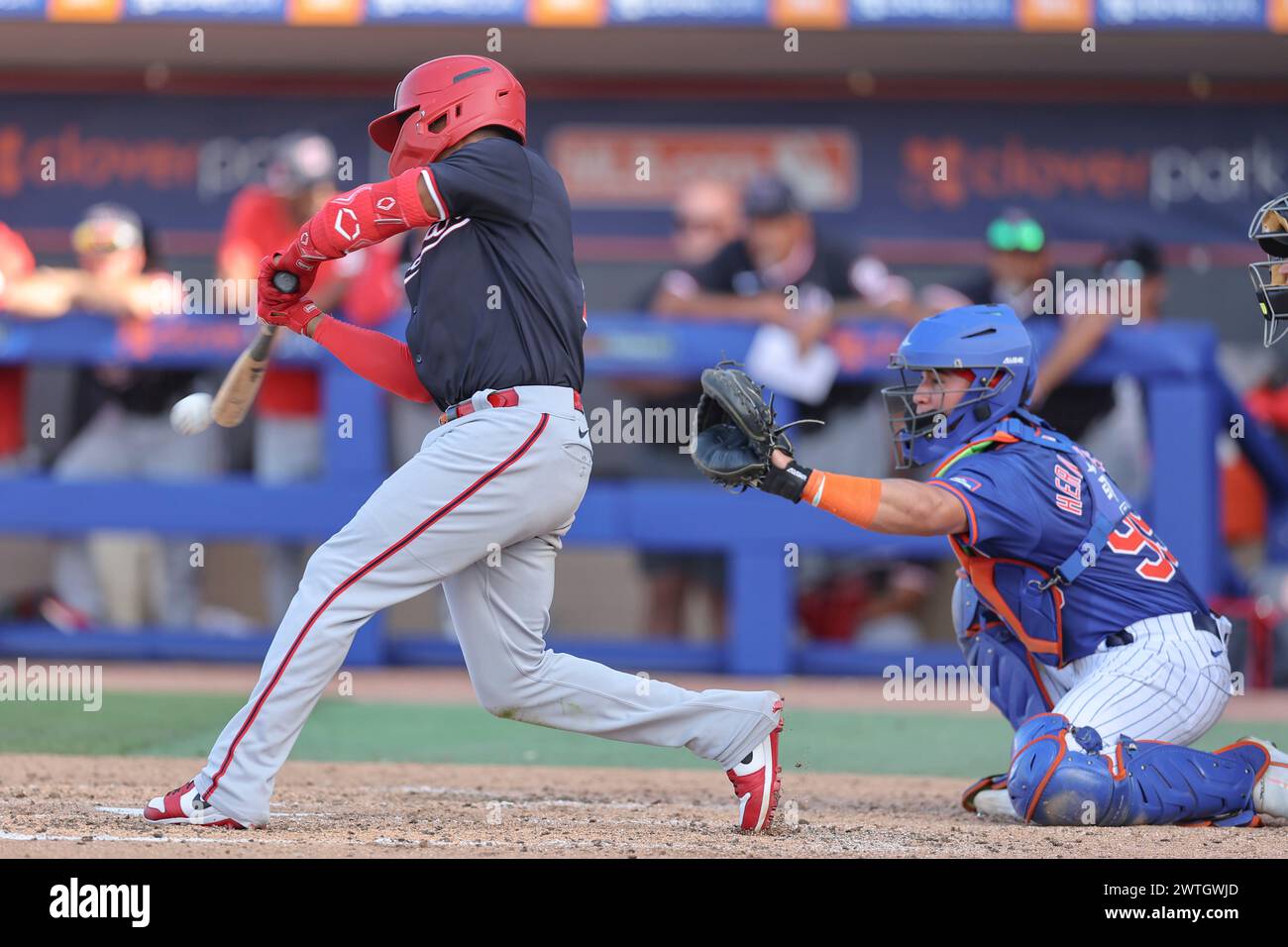 Port St Lucie, FL: Washington Nationals shortstop Armando Cruz (4 ...
