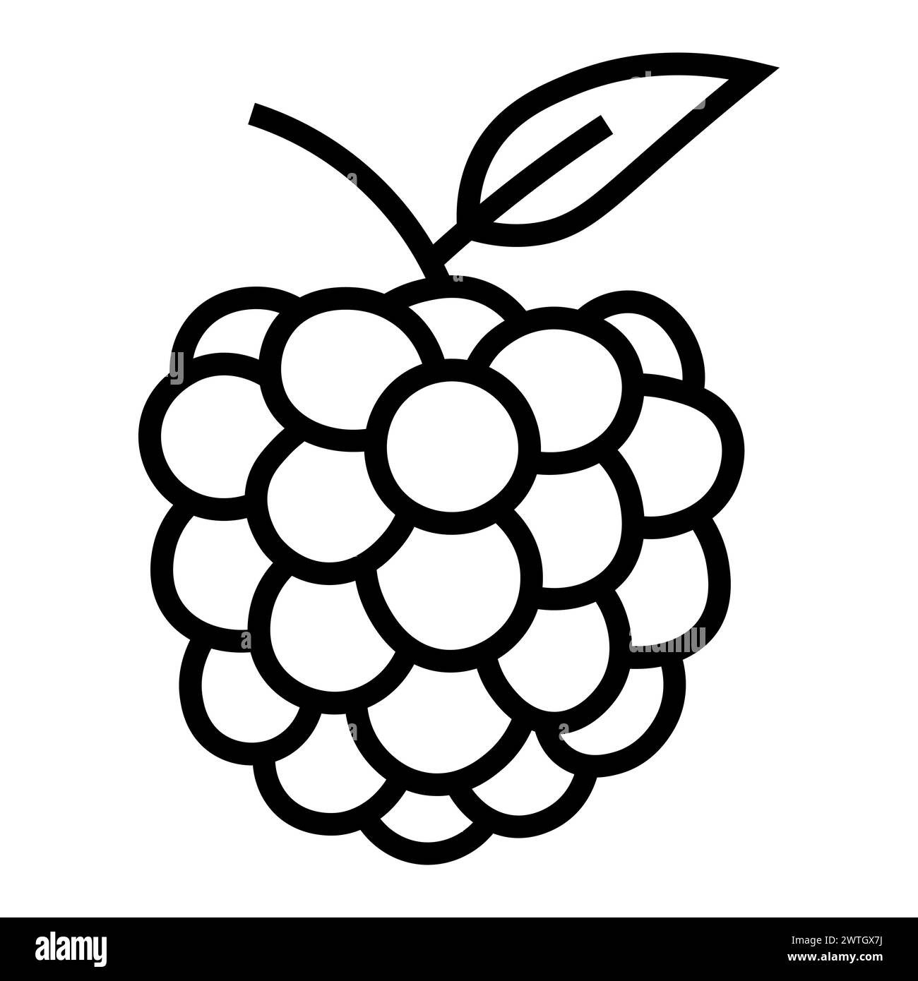 black vector raspberry icon on white background Stock Vector Image ...