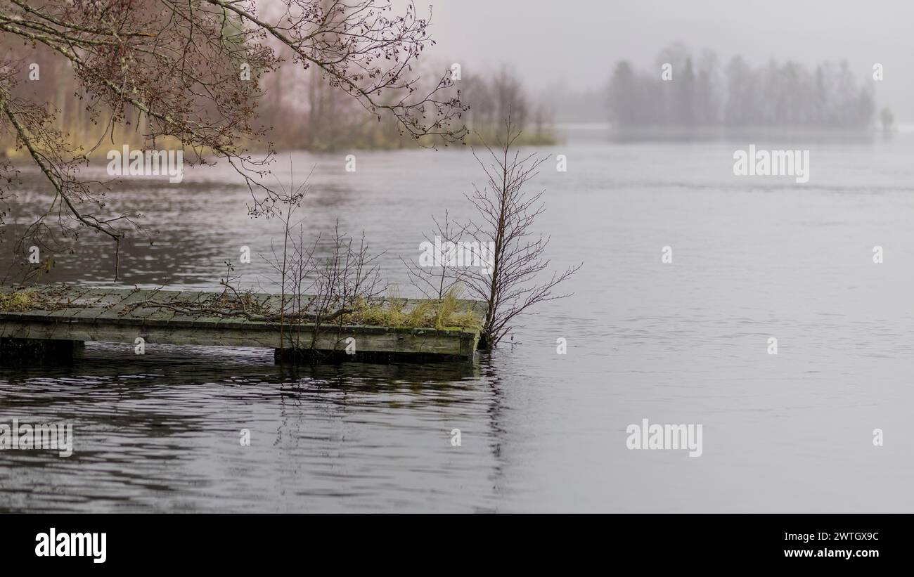 A misty and rainy day at Lernbo village dock in Smedjebacken, Sweden ...