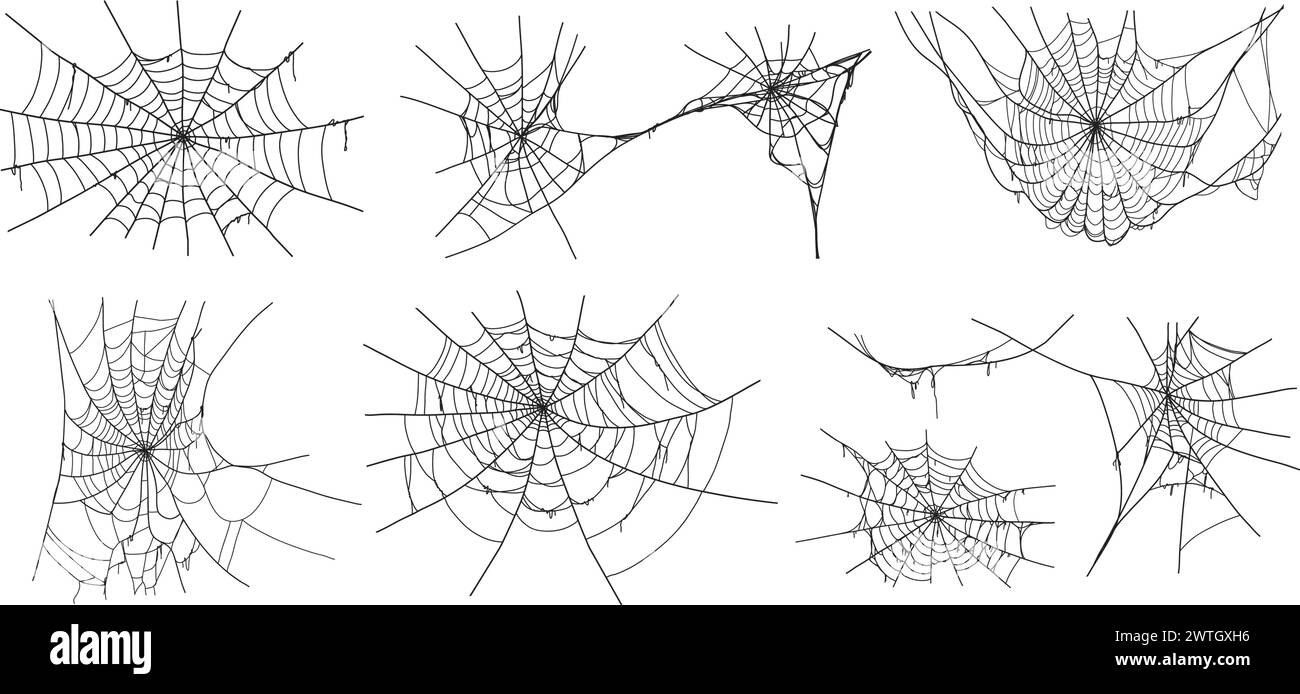 Spooky halloween old spider web with various sizes and shapes. Old ...