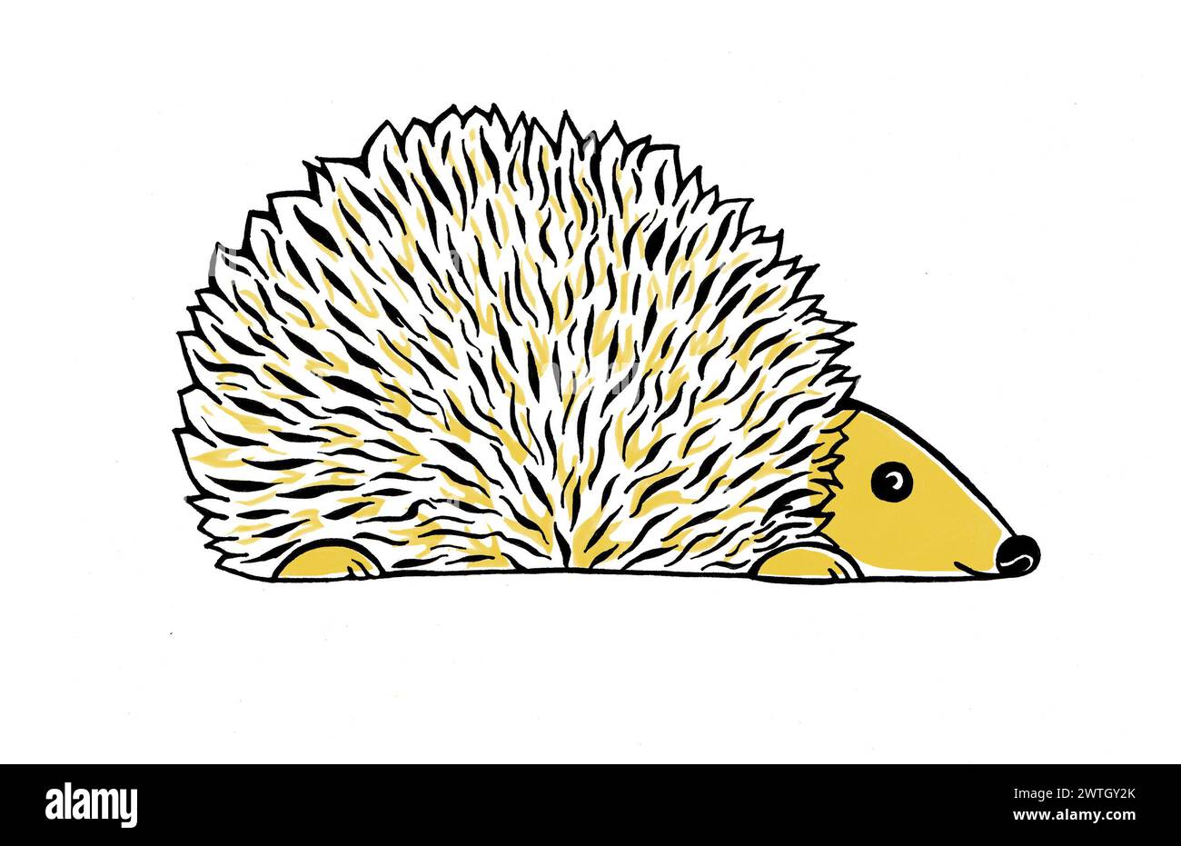Illustration of a hedgehog isolated on a white background. Stylization ...